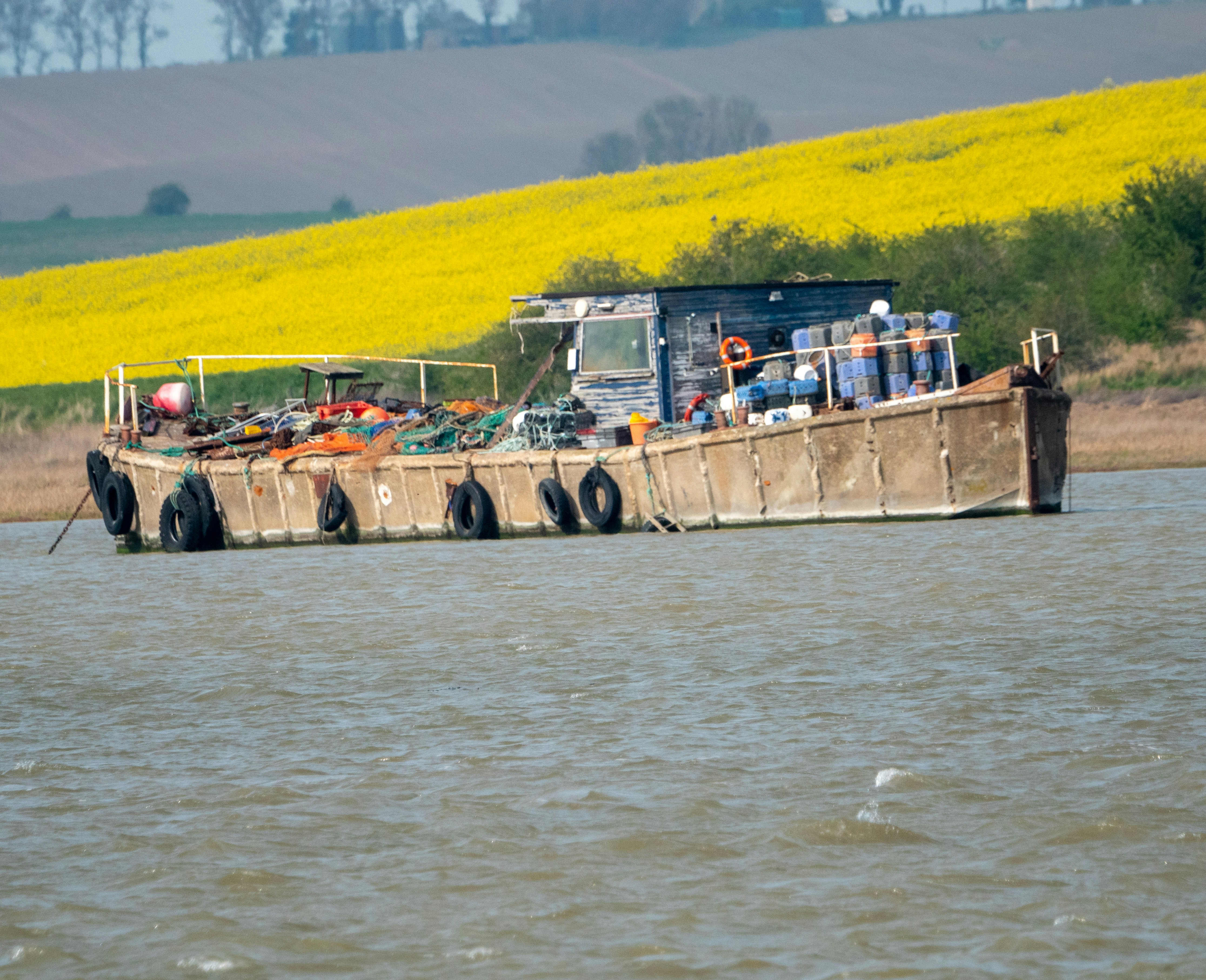 Weathered cargo barge drifts along a calm river beneath a canola-yellow hillside