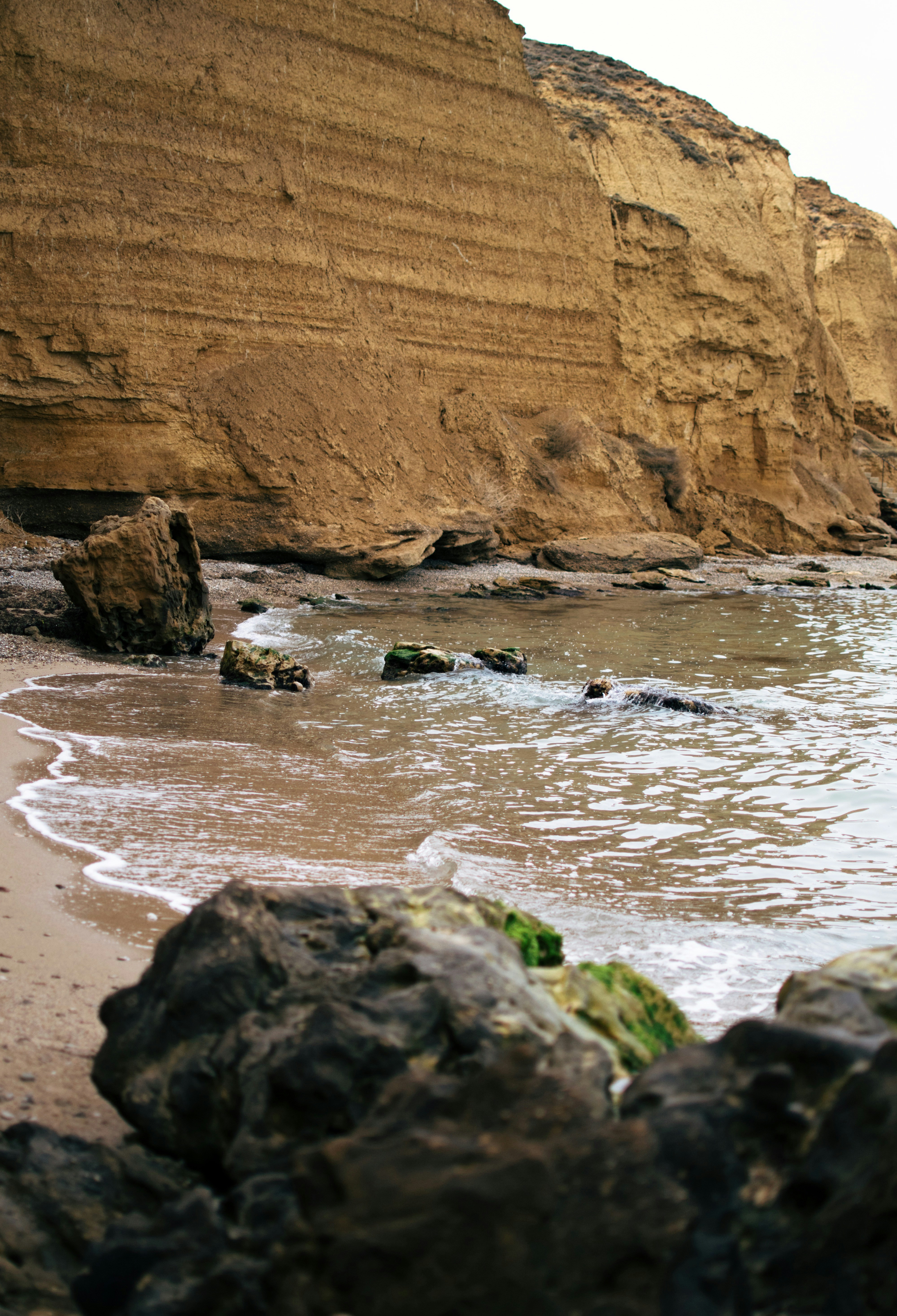 A rocky beach with a river running through it photo – Free Ocean Image ...