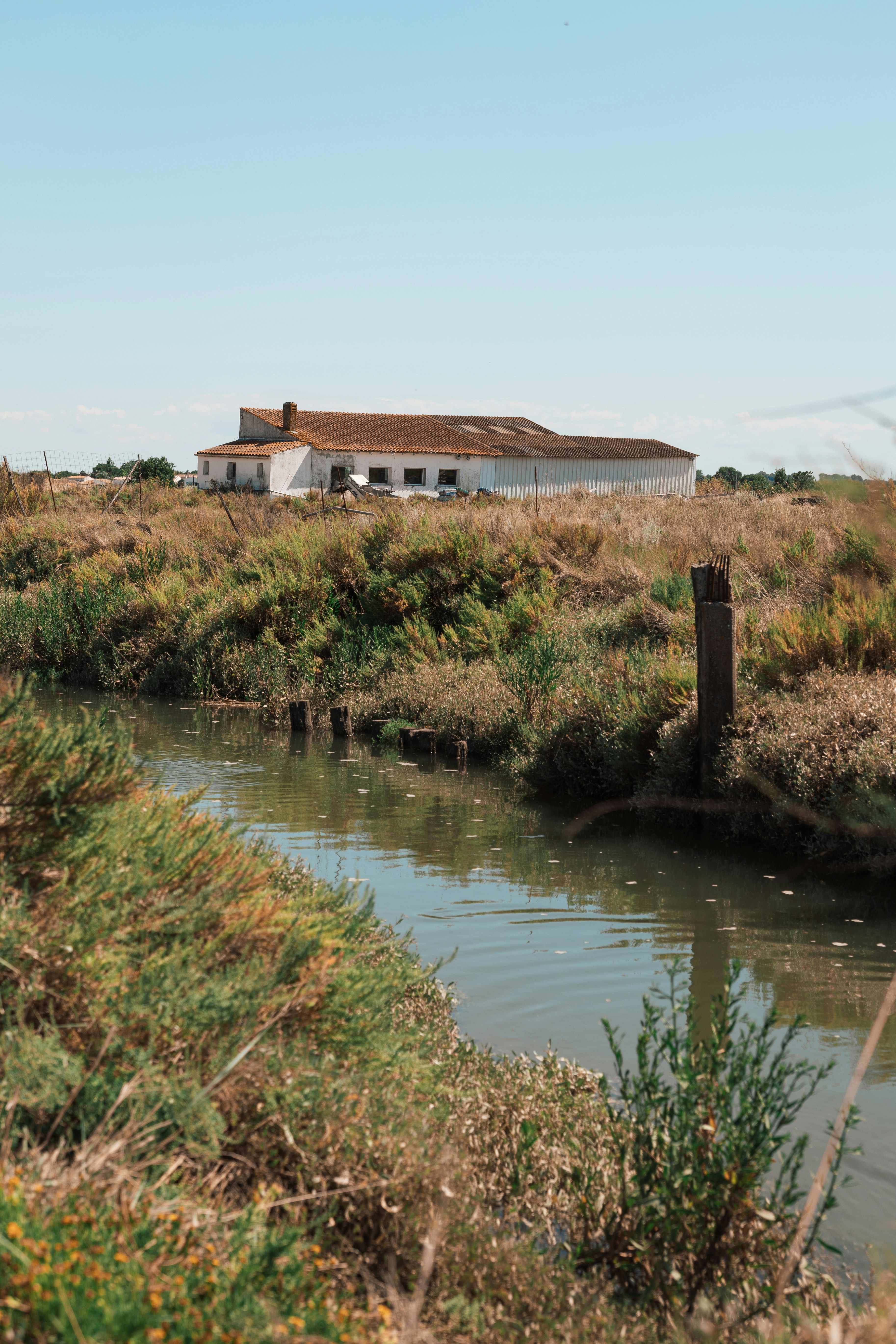 Sunlit Farmstead Beyond a Quiet Canal