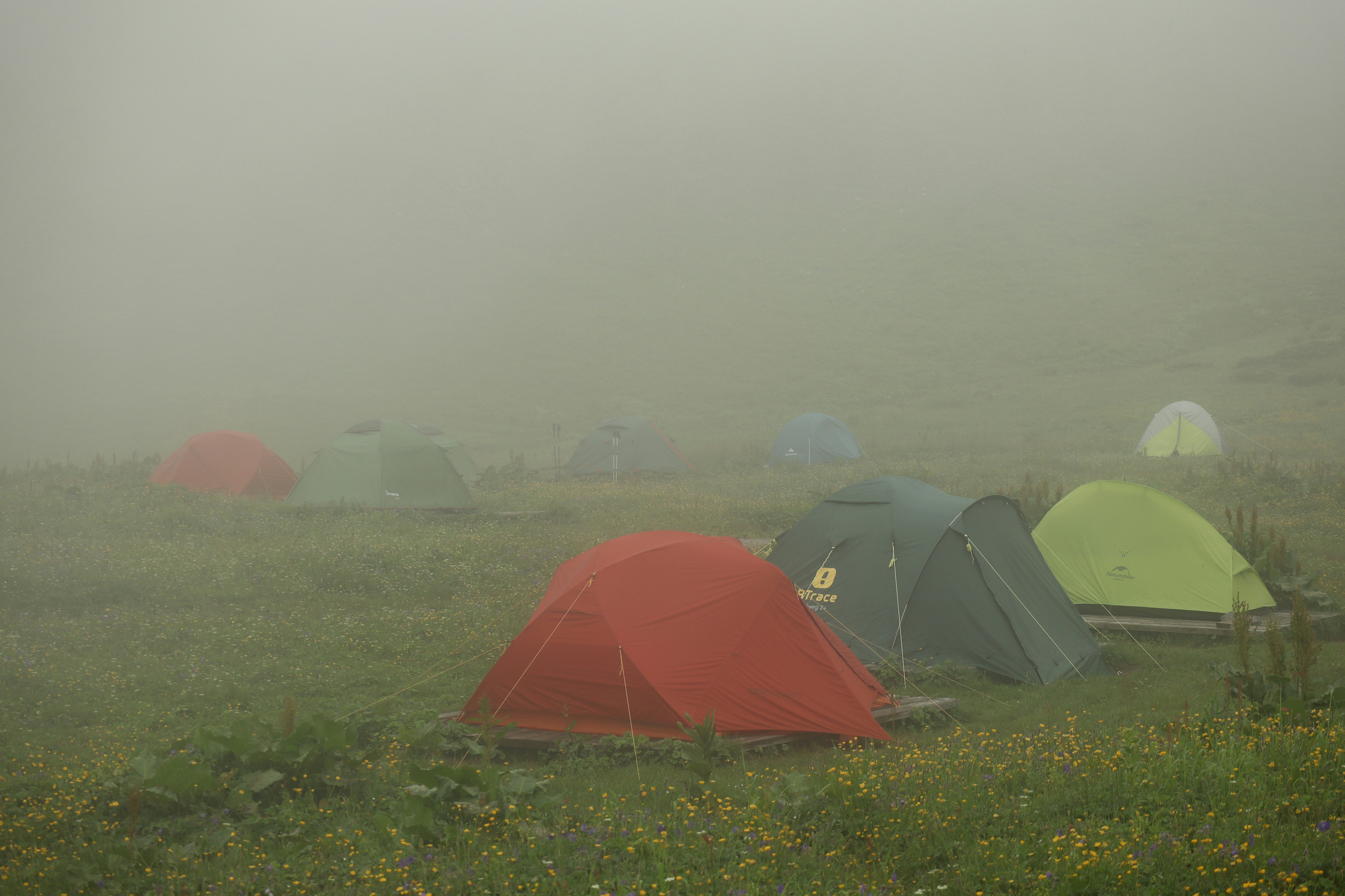 Mist-Laden Campground: A Red Tent Commands the Quiet Field