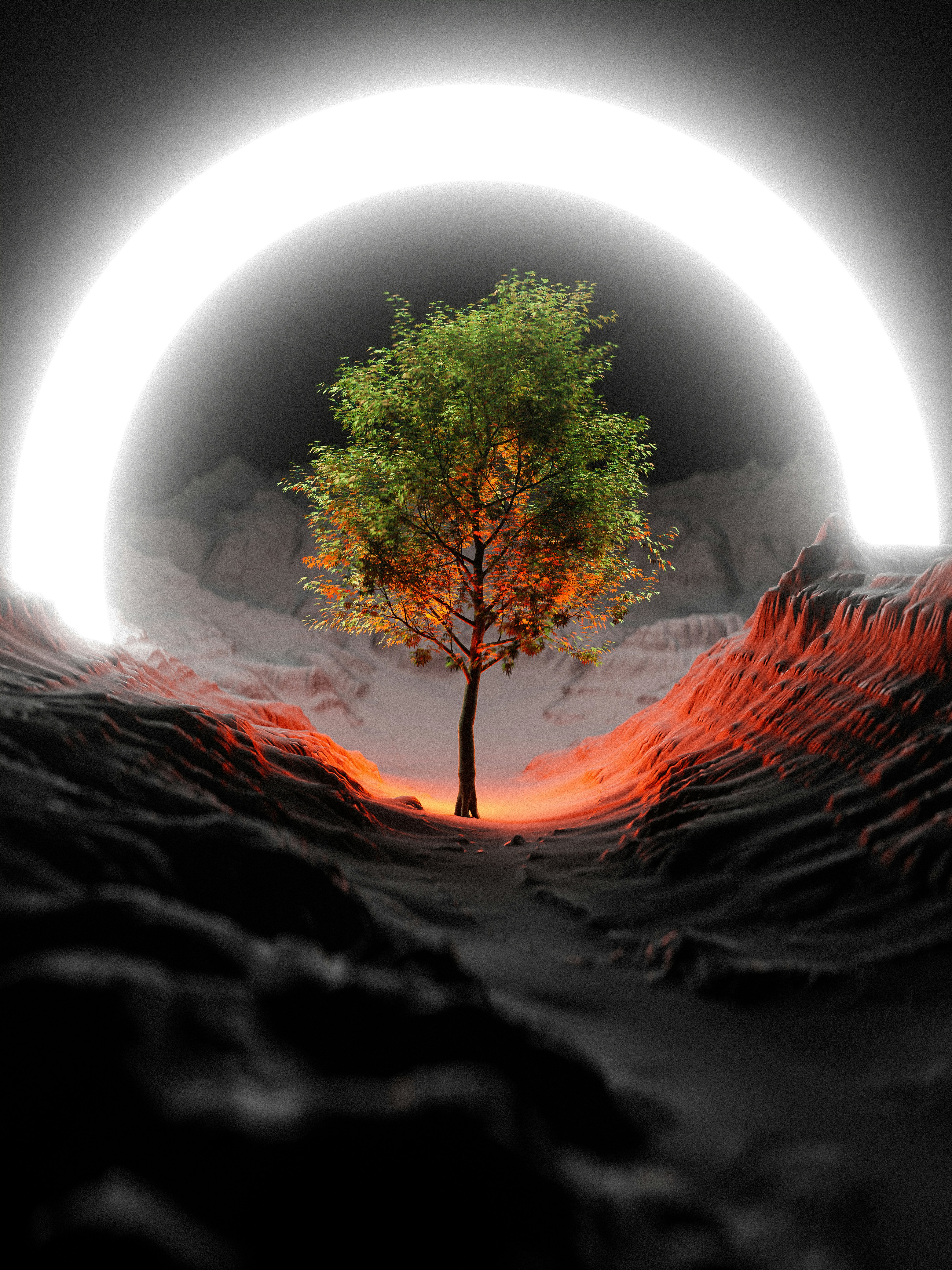 A tree in a cave photo – Free Digital image Image on Unsplash