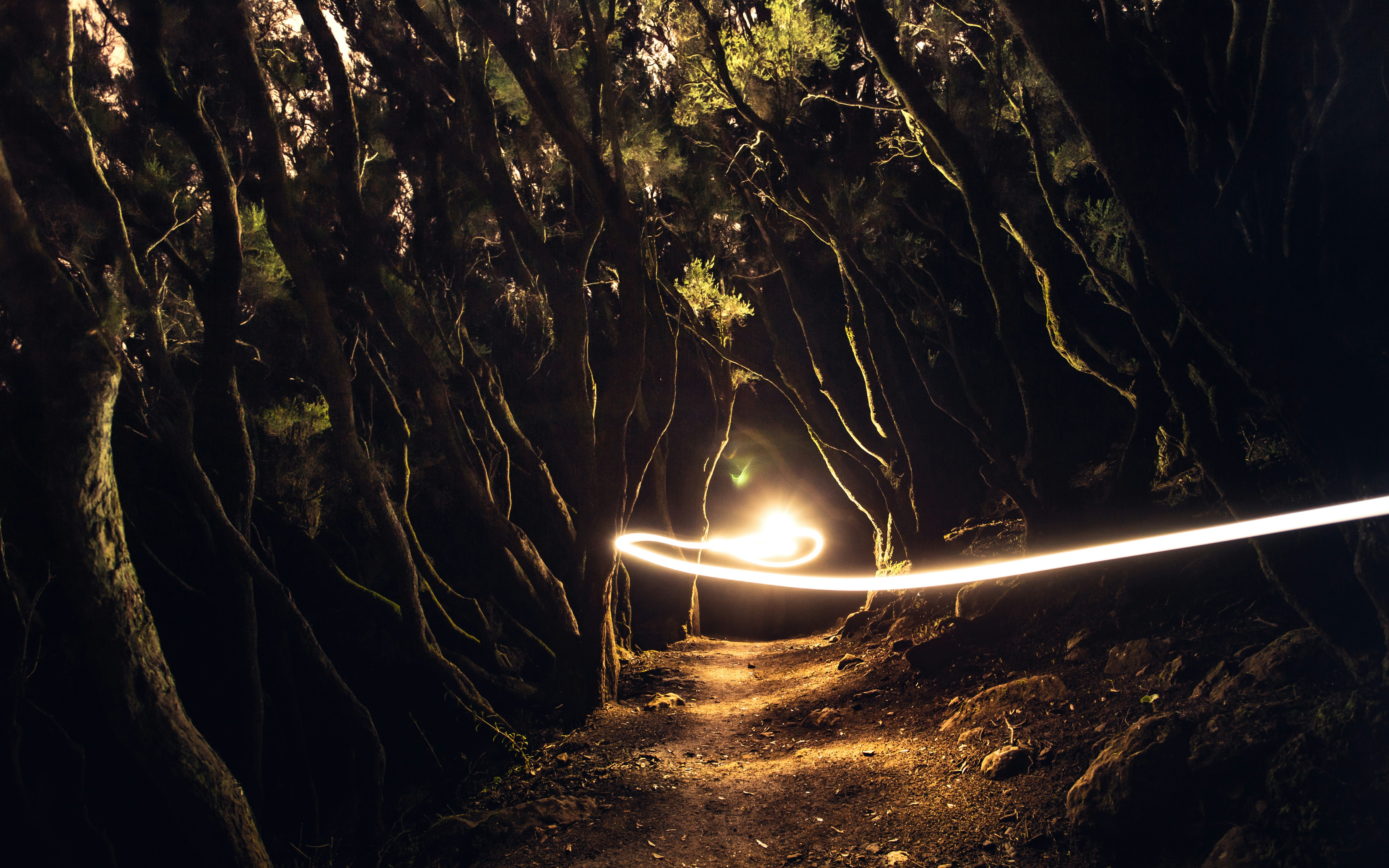 Spirits.Marek Piwnicki