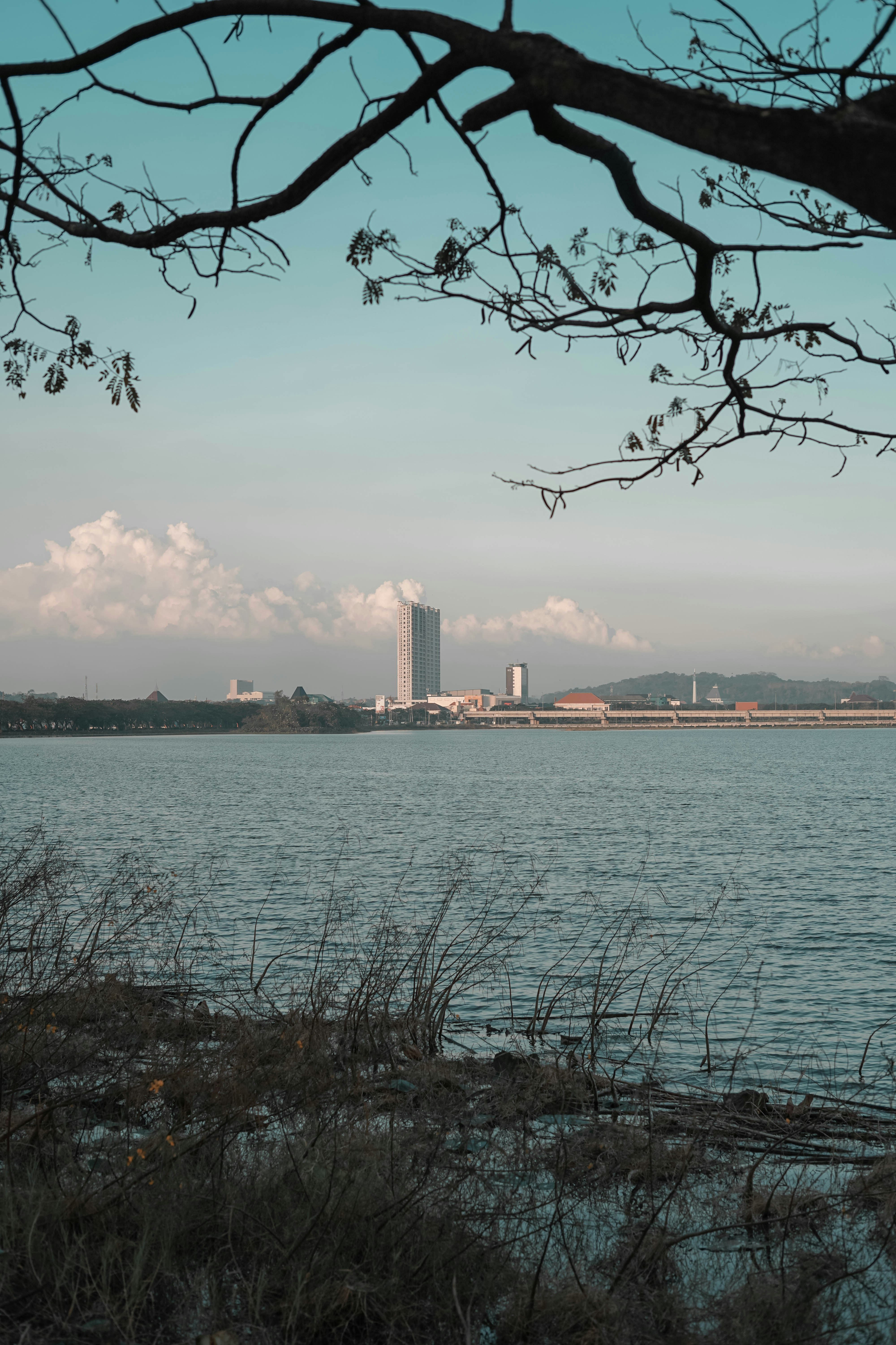 Skyline on the Quiet Lake: City Rise Behind Winter Branches