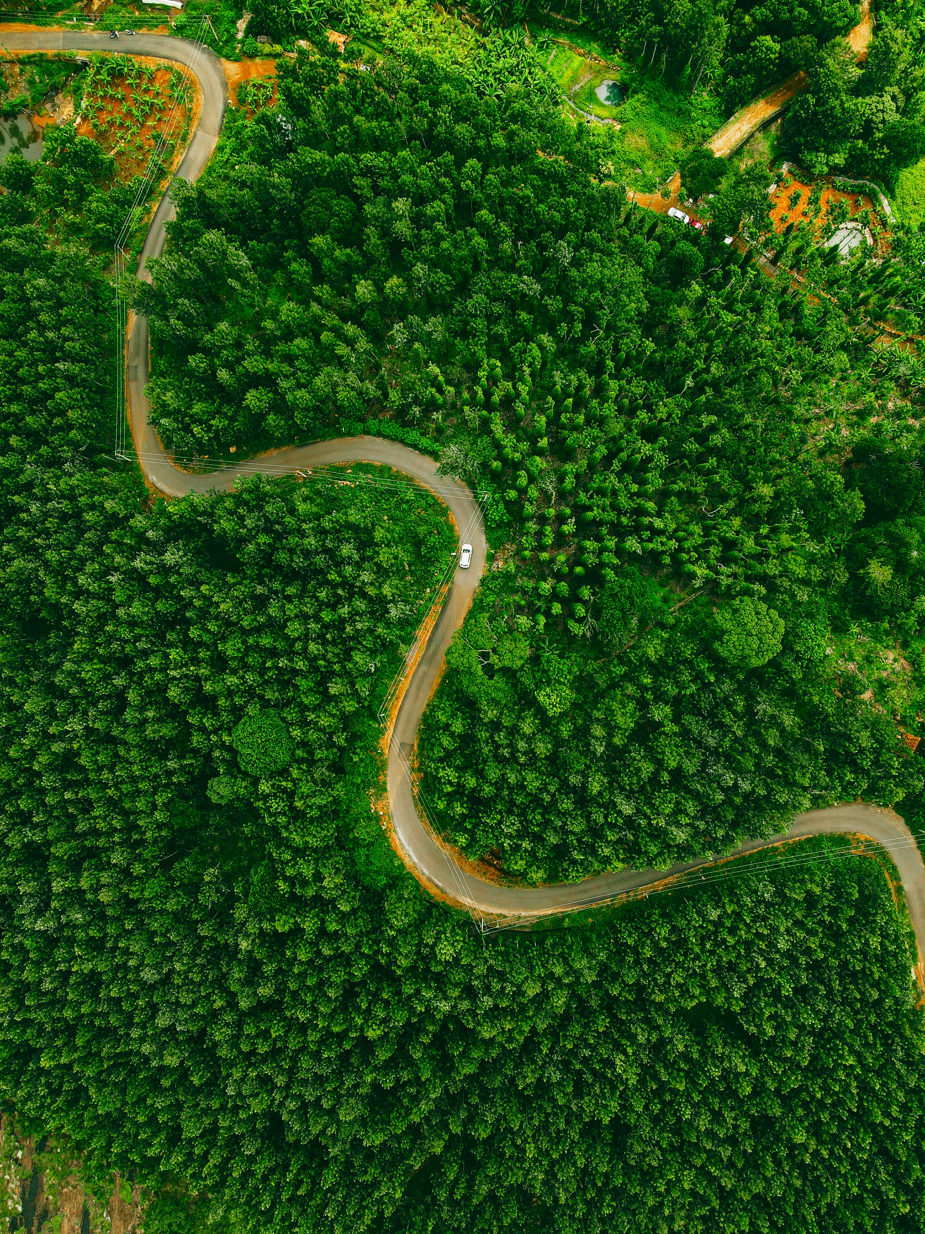 Une route sinueuse à travers une forêt photo – Photo Collines de Kolli ...
