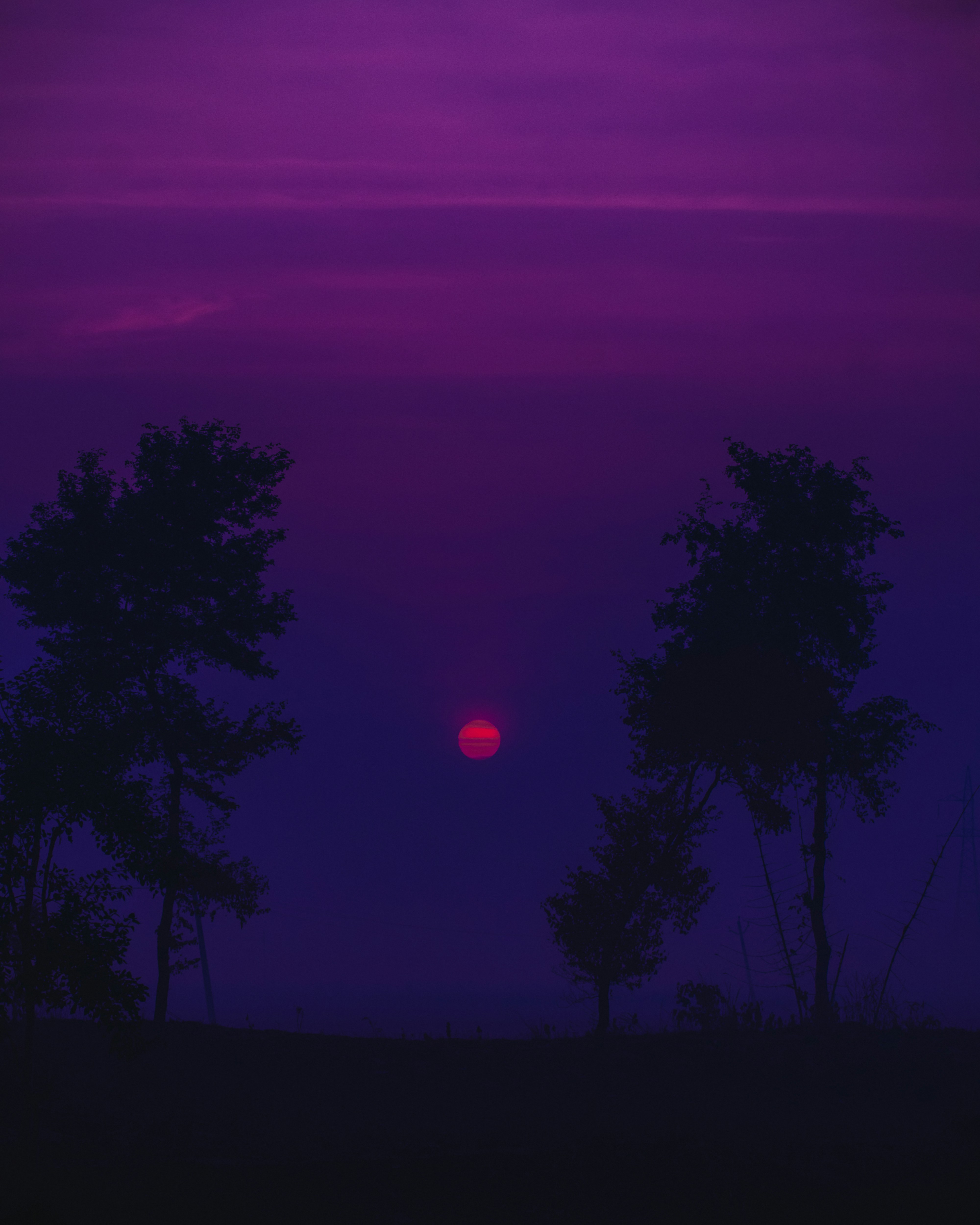 Photo by Pramod Tiwari with Nikon D3300