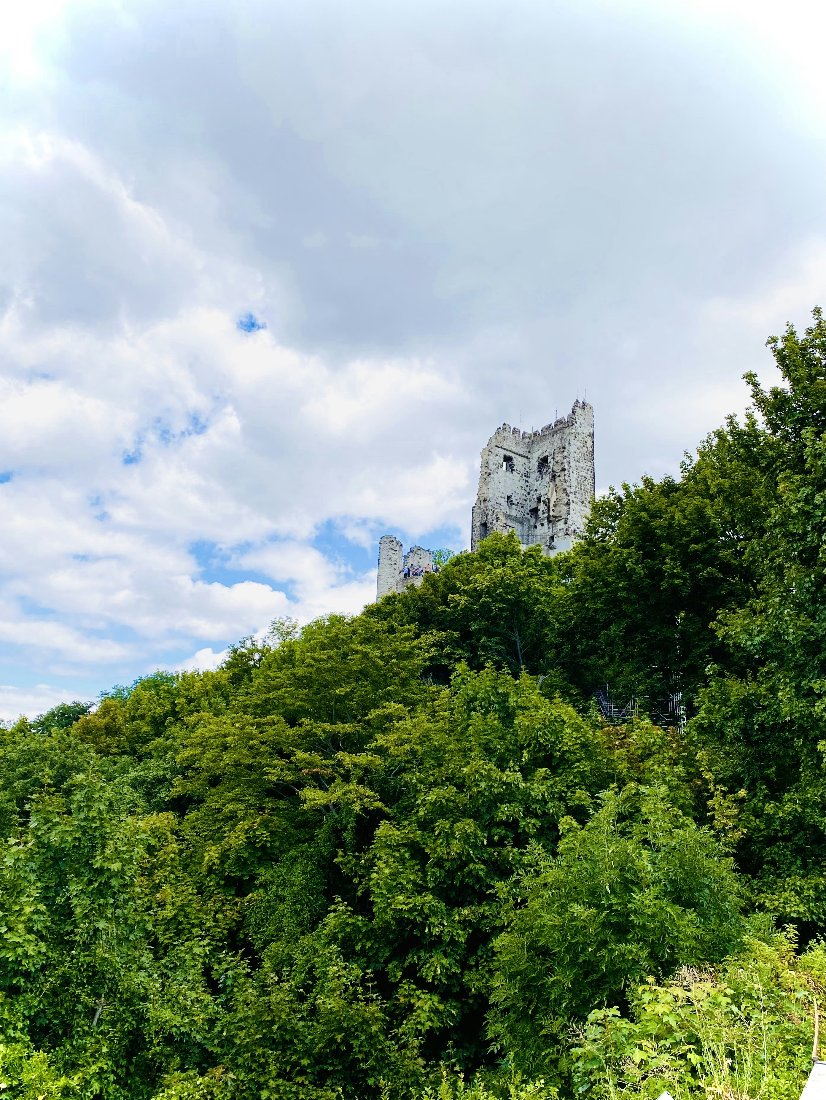 Stone Sentinel Above Verdant Canopy: A Castle Tower Surging Through the Trees