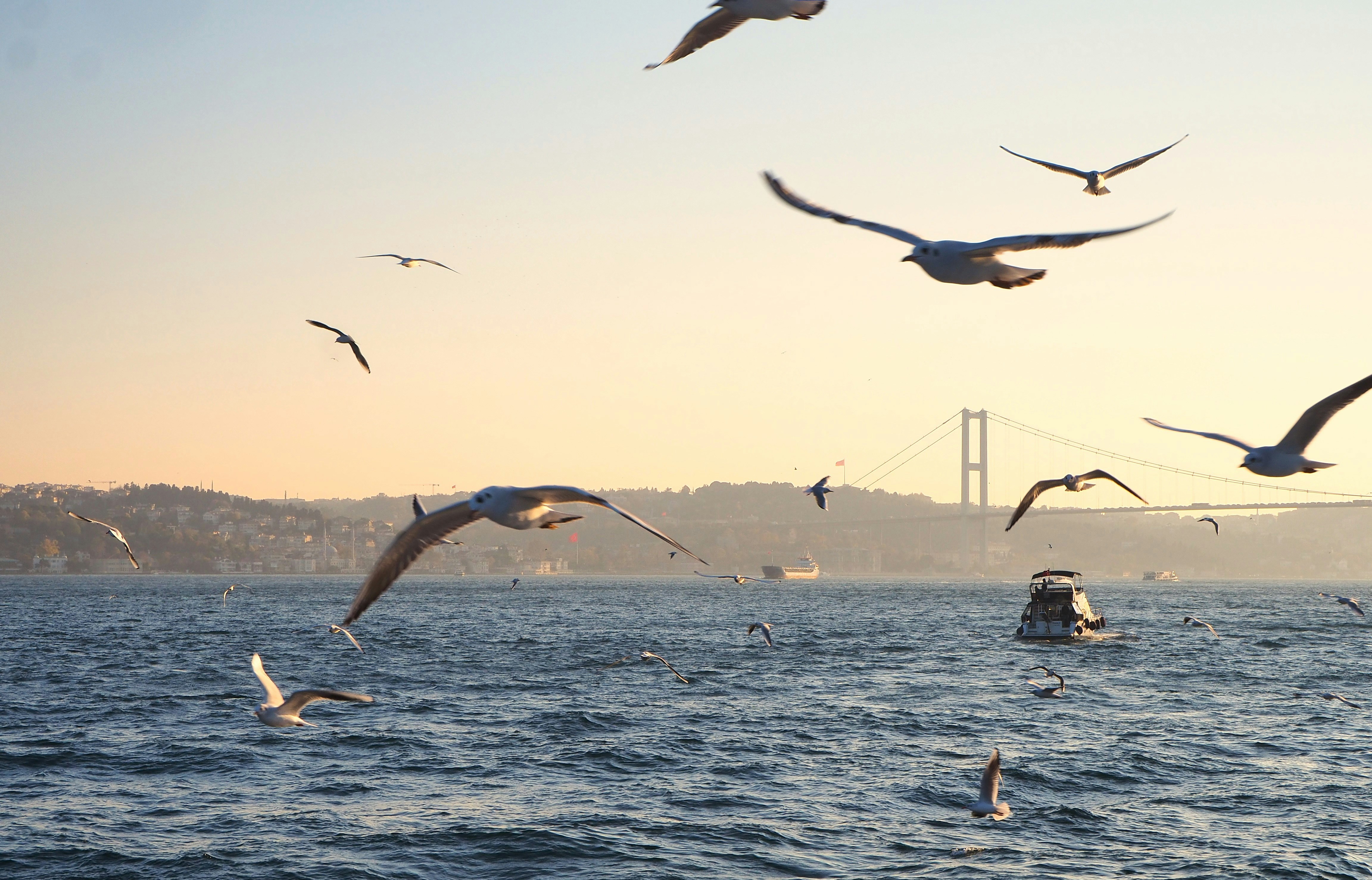 It took a long time for me to upload this photo. The last months were very stressful, but now looking at this picture and thinking back to the beautiful days in Istanbul is like a short vacation for my soul. 