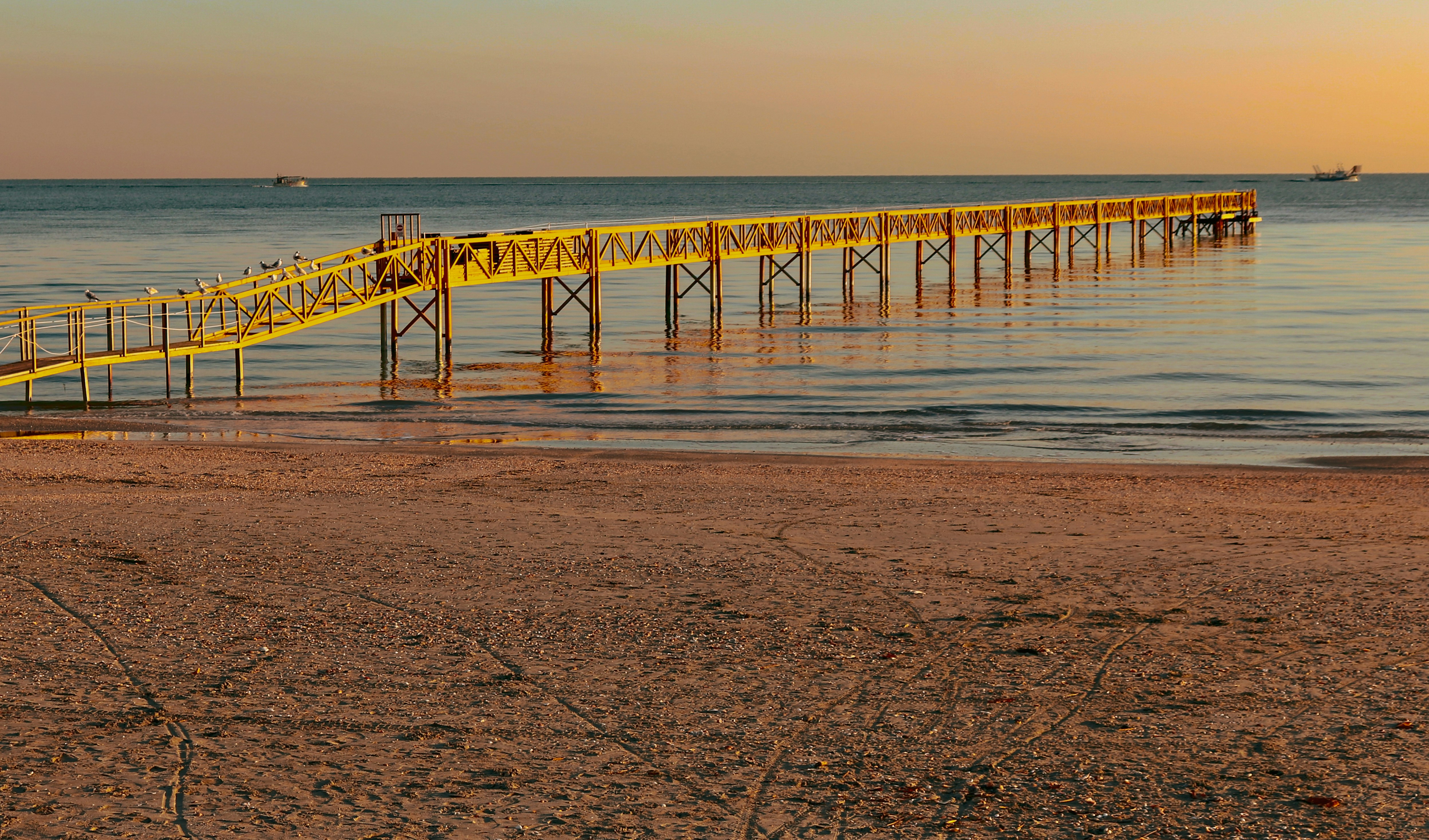 Golden Pathway to Tranquility