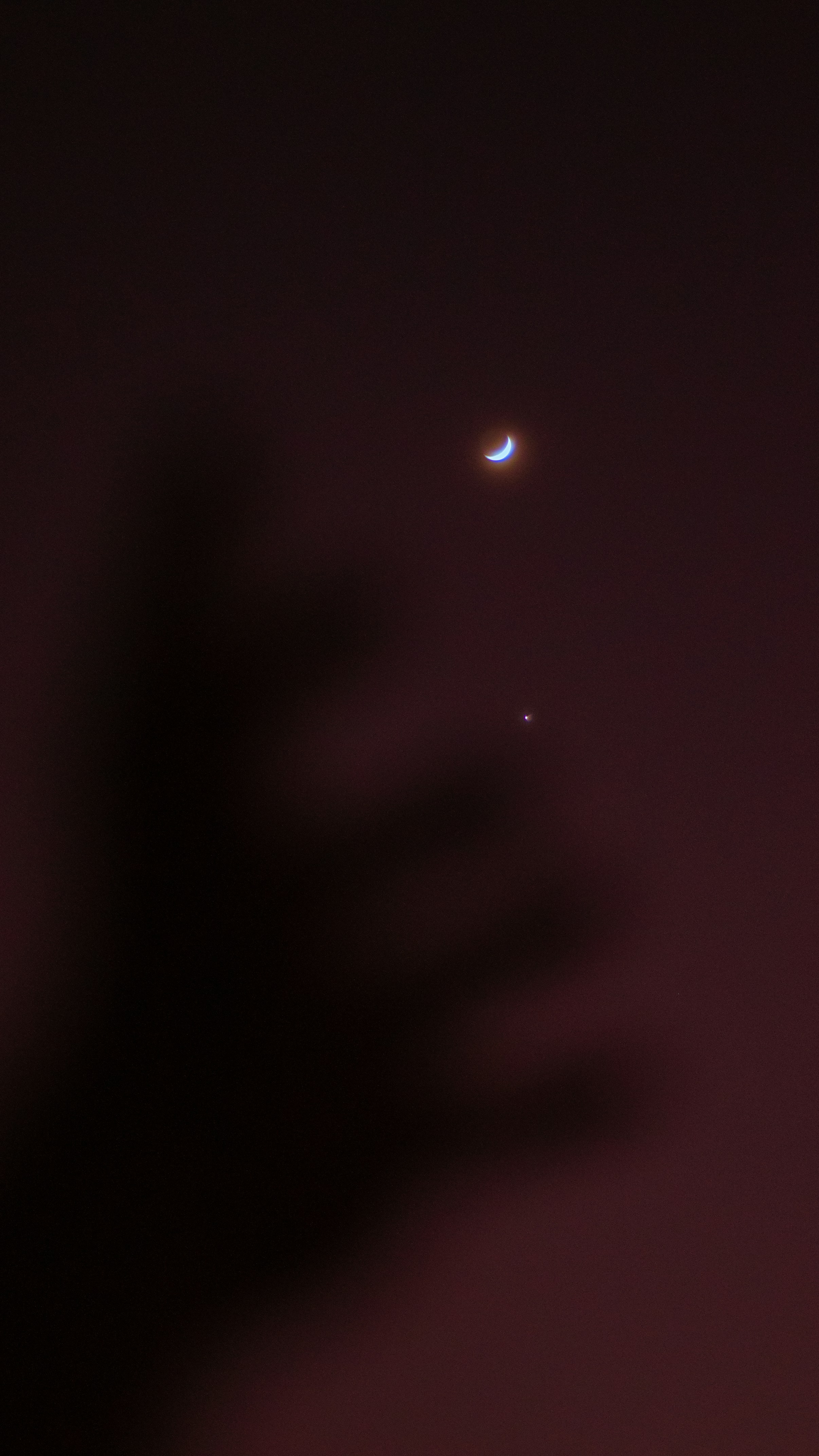 Crescent Moon and Bright Planet Hover Over a Shadowed Orchard