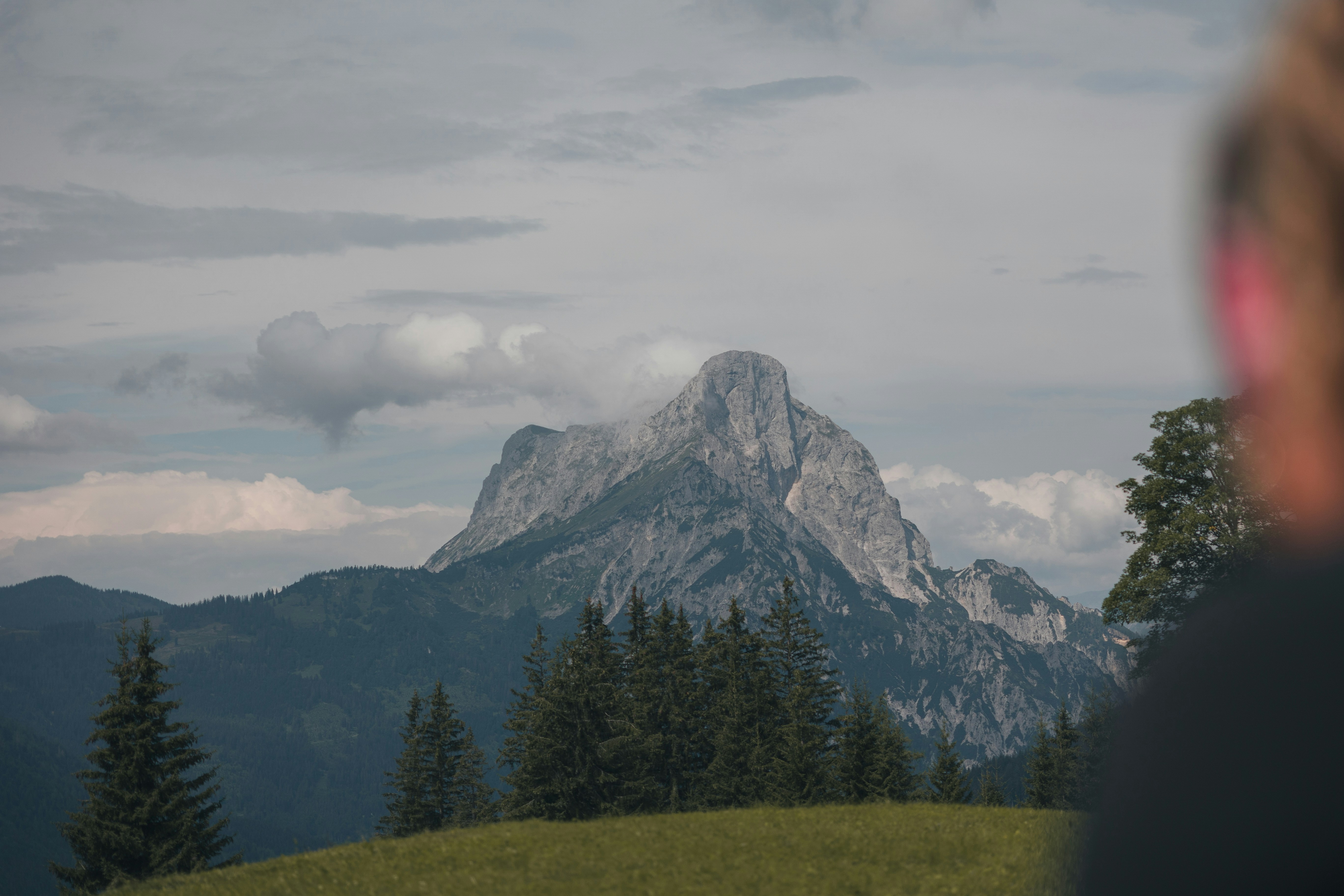 Mountain silhouette framed by foreground pines and a side-profile viewer