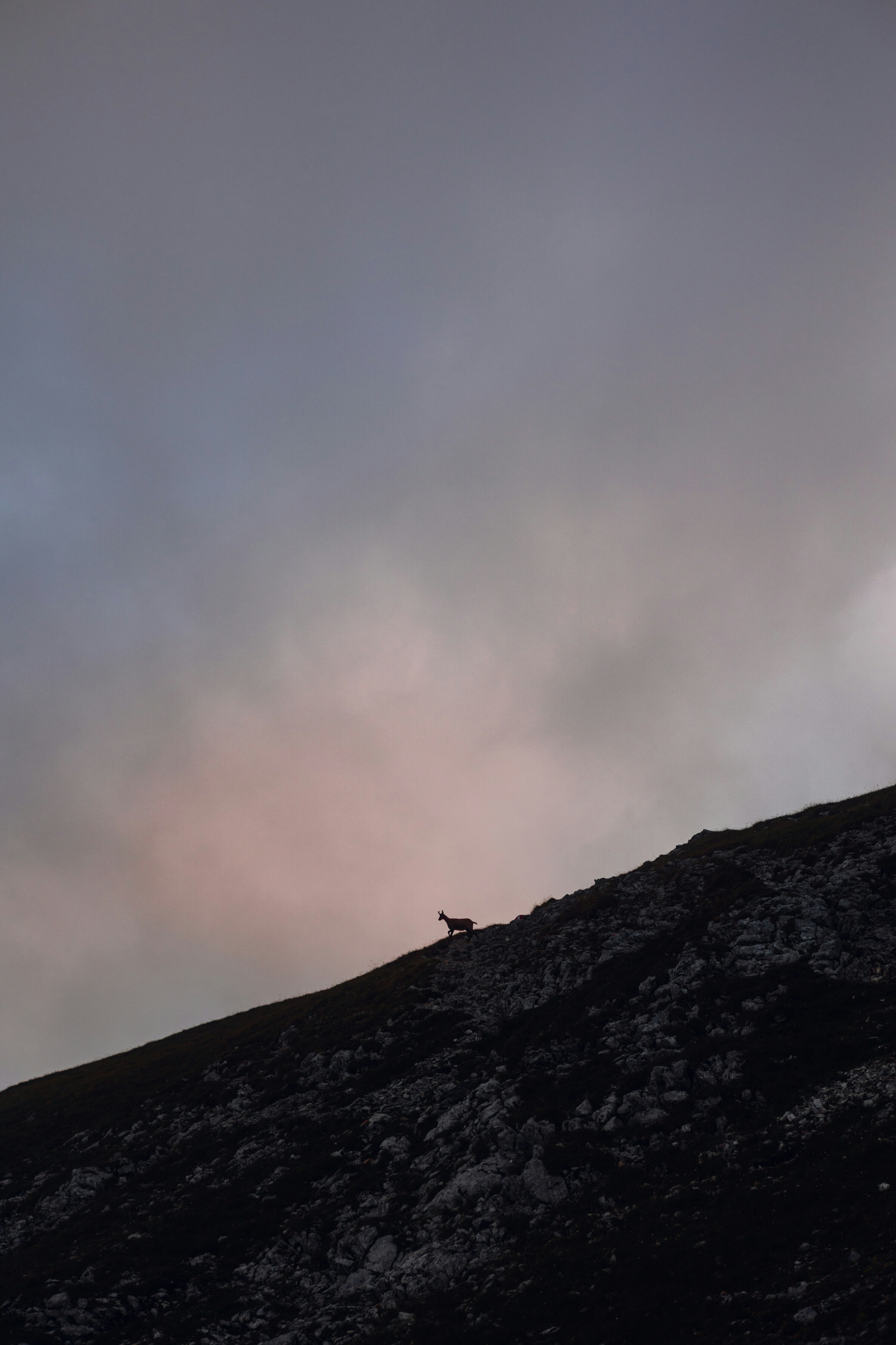 Photo by Alex Gruber with Canon EOS R6