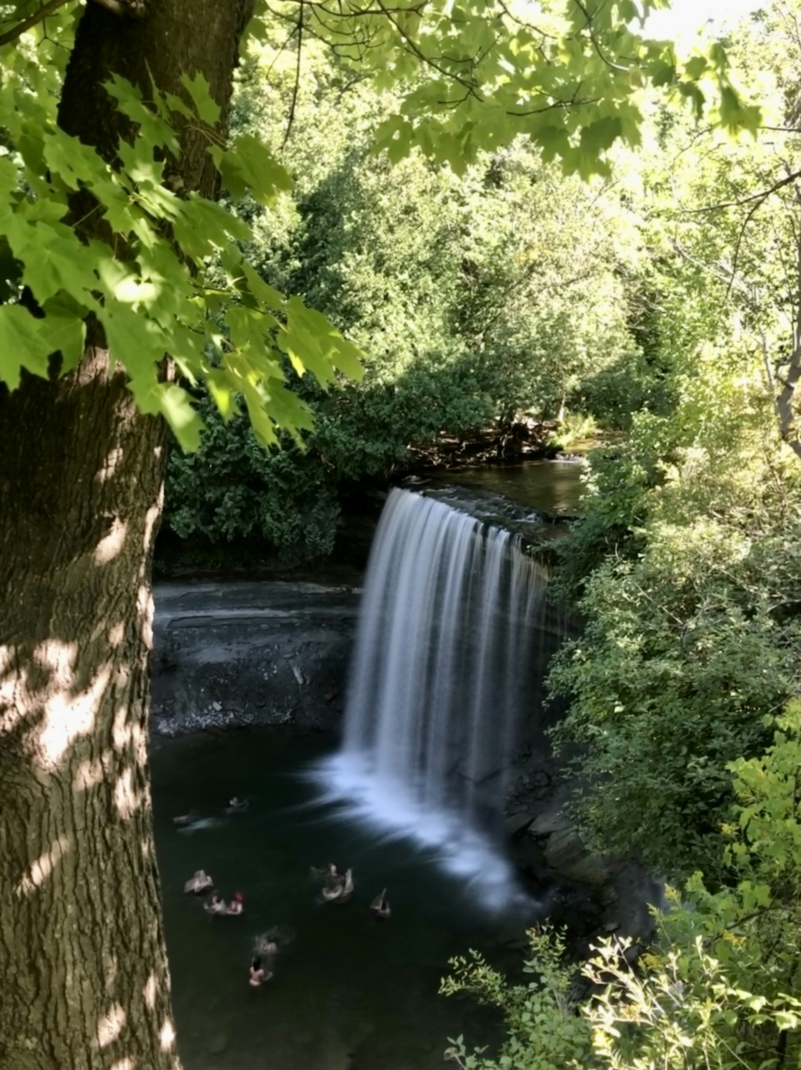 Canopy Cascade: Sunlit Waterfall Framed by Green Foliage
