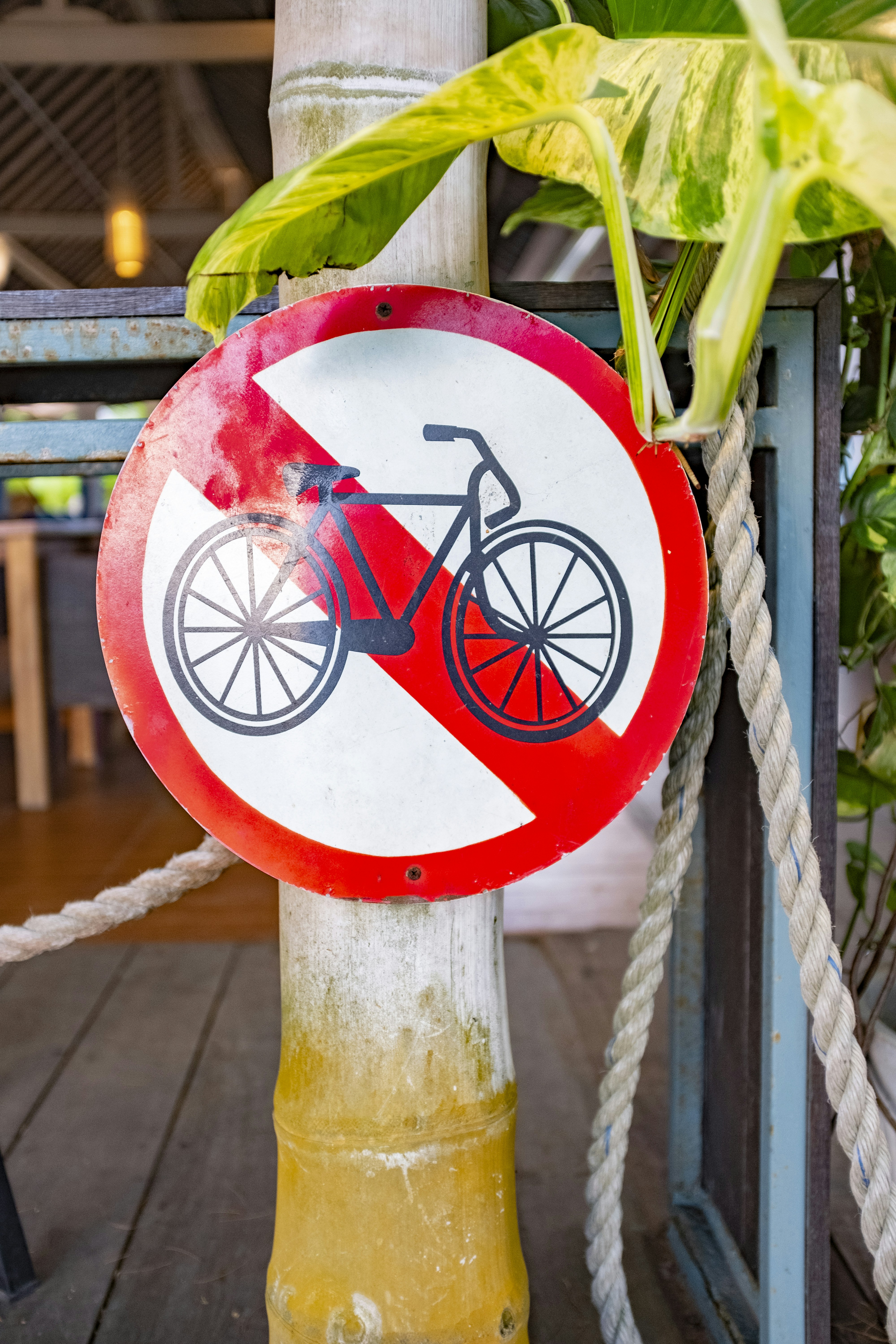 A bicycle sign on a post photo – Free Wood Image on Unsplash