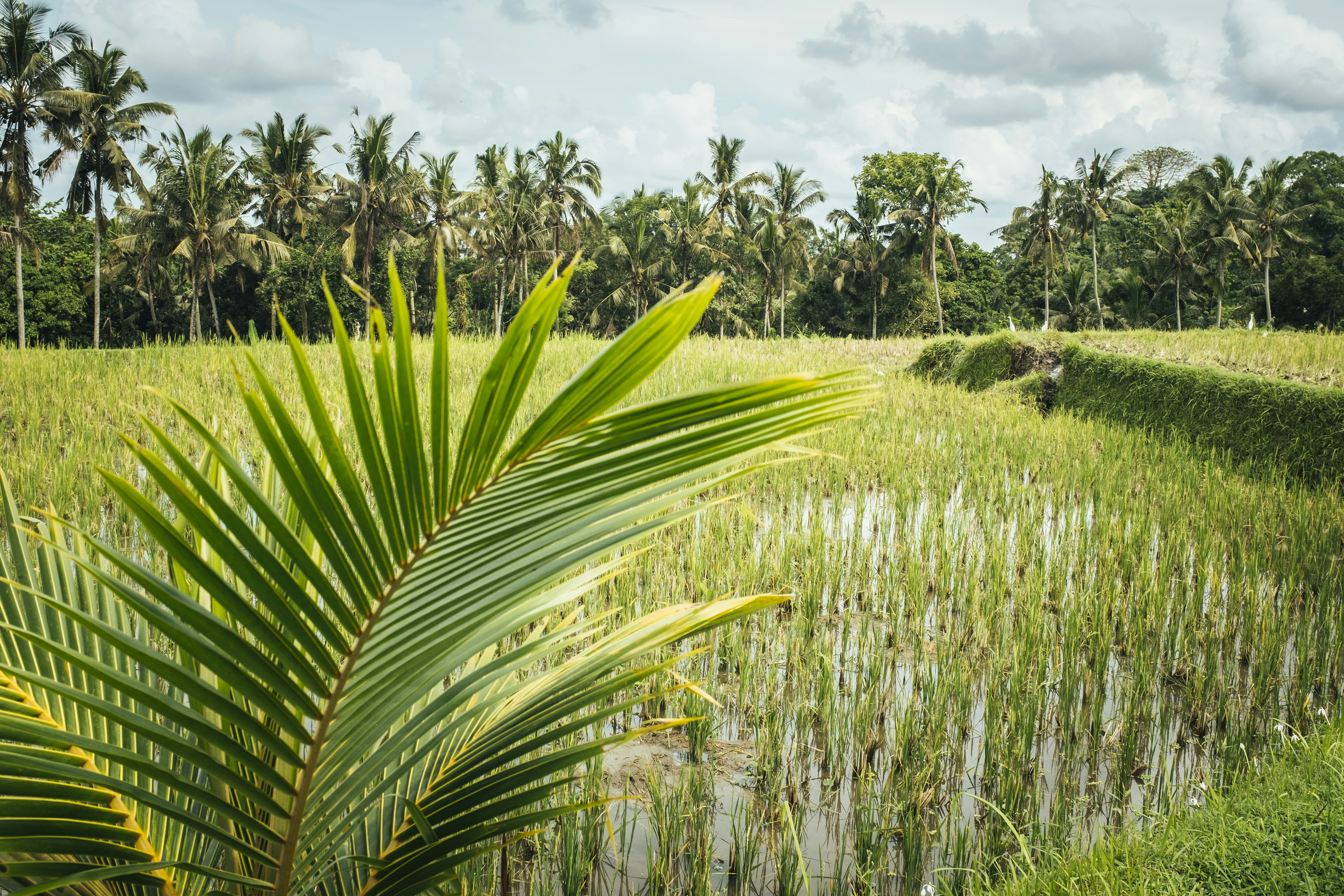 Photo by Bernard Hermant with Fujifilm X100F