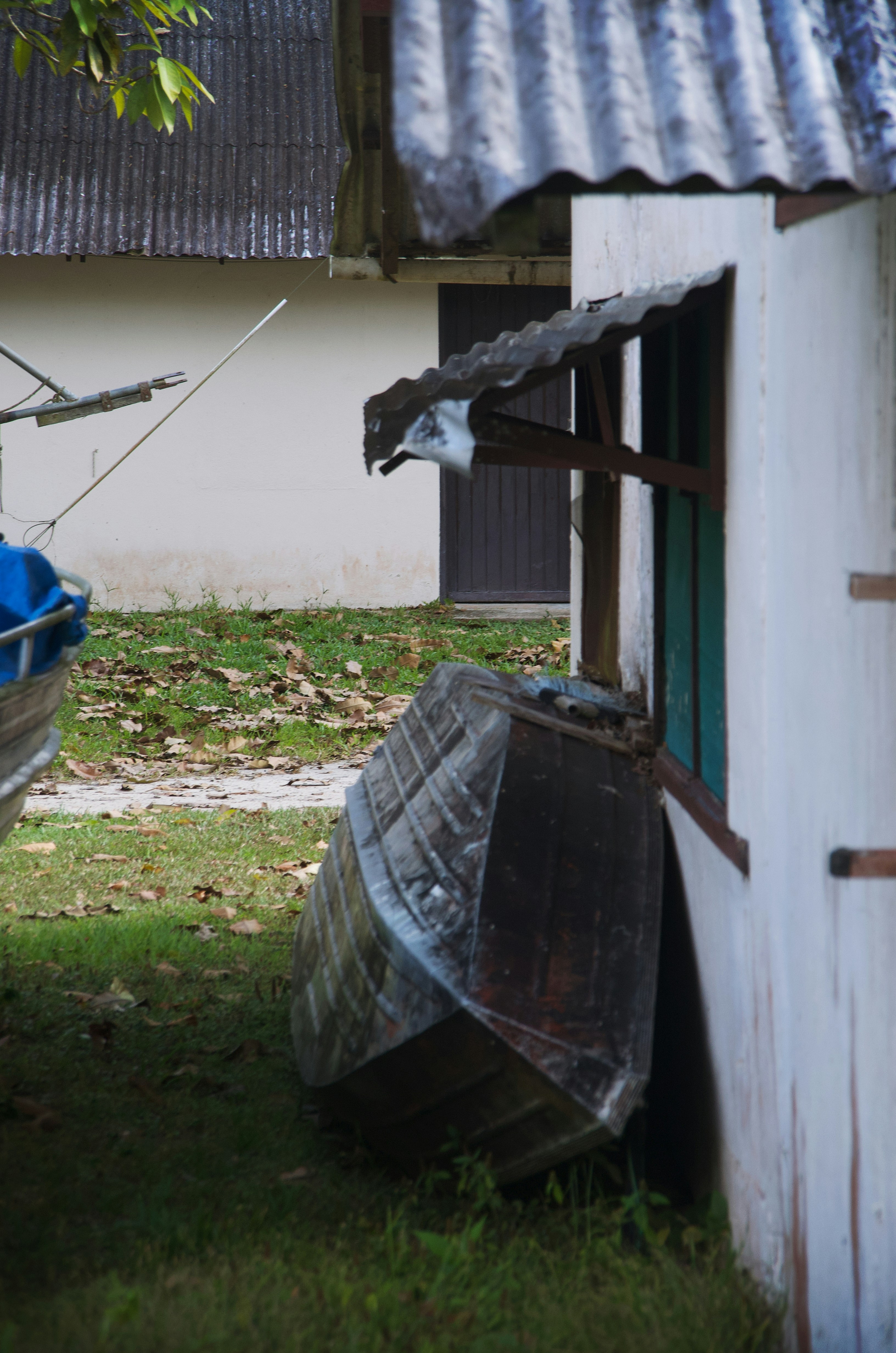 Nathan Rodrigues (@itsnathan) | Unsplash 사진 커뮤니티