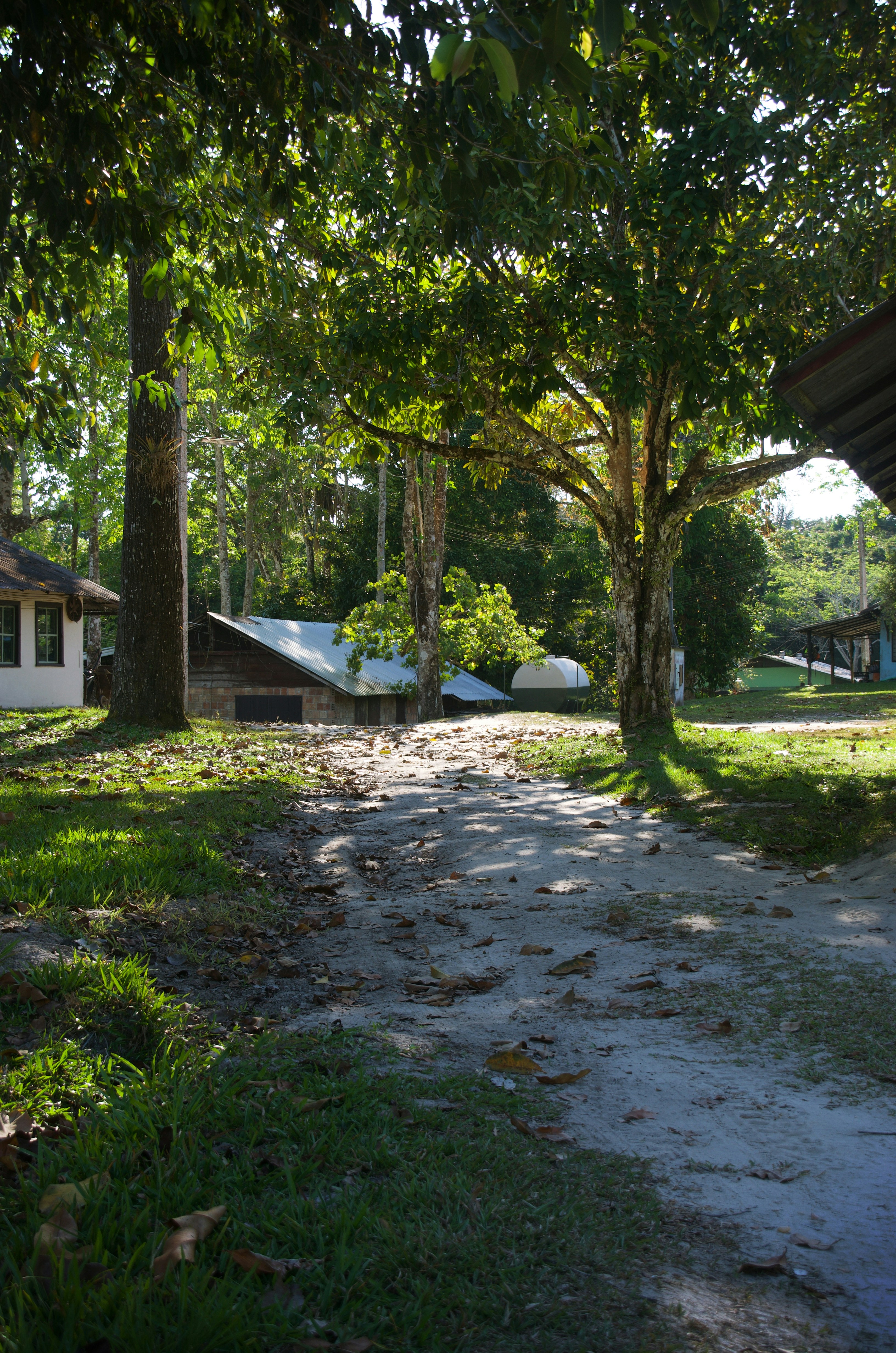 Nathan Rodrigues (@itsnathan) | Unsplash 사진 커뮤니티