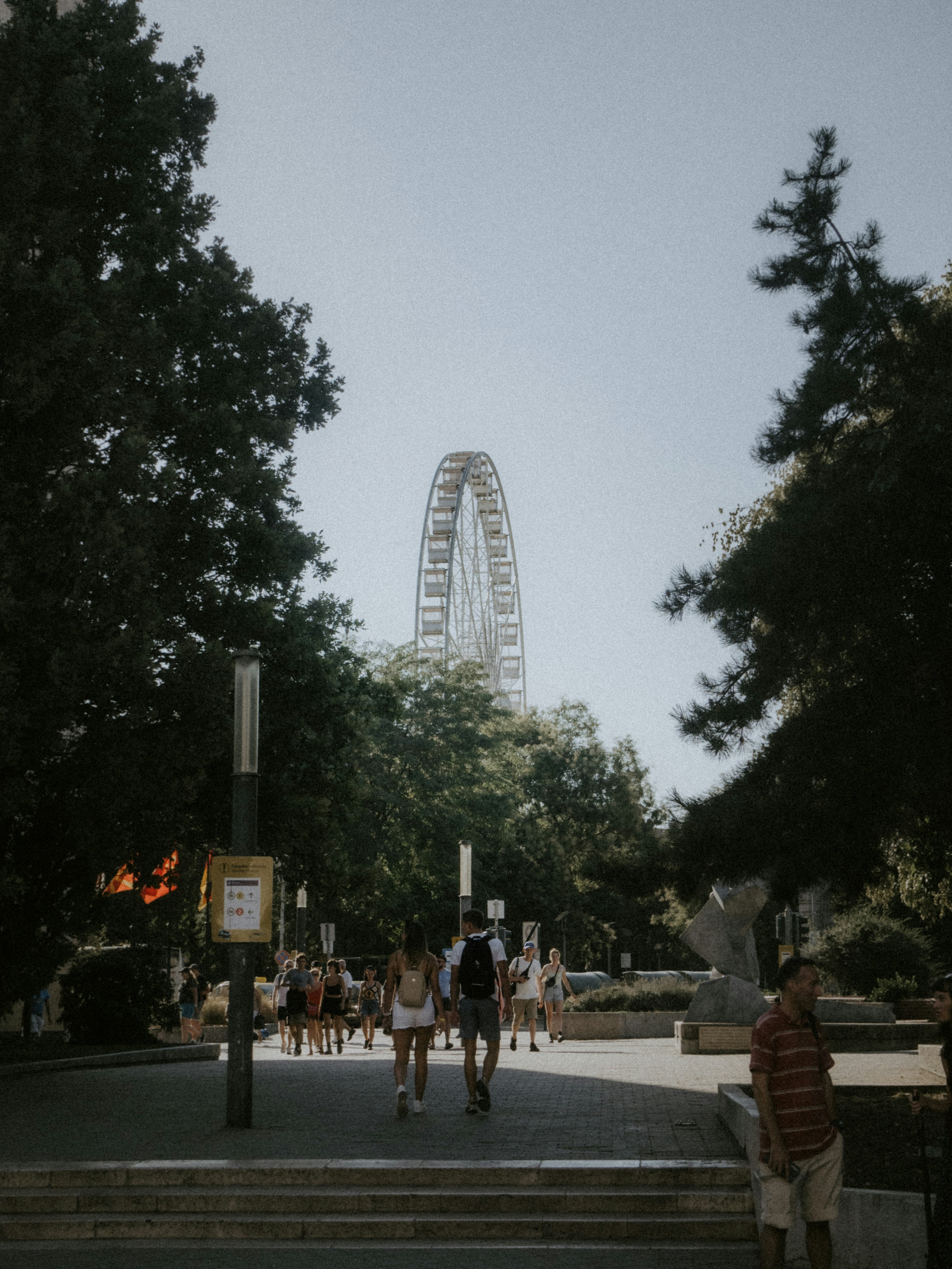 Ferris Wheel Peeking Through a Tree-Framed City Park Promenade