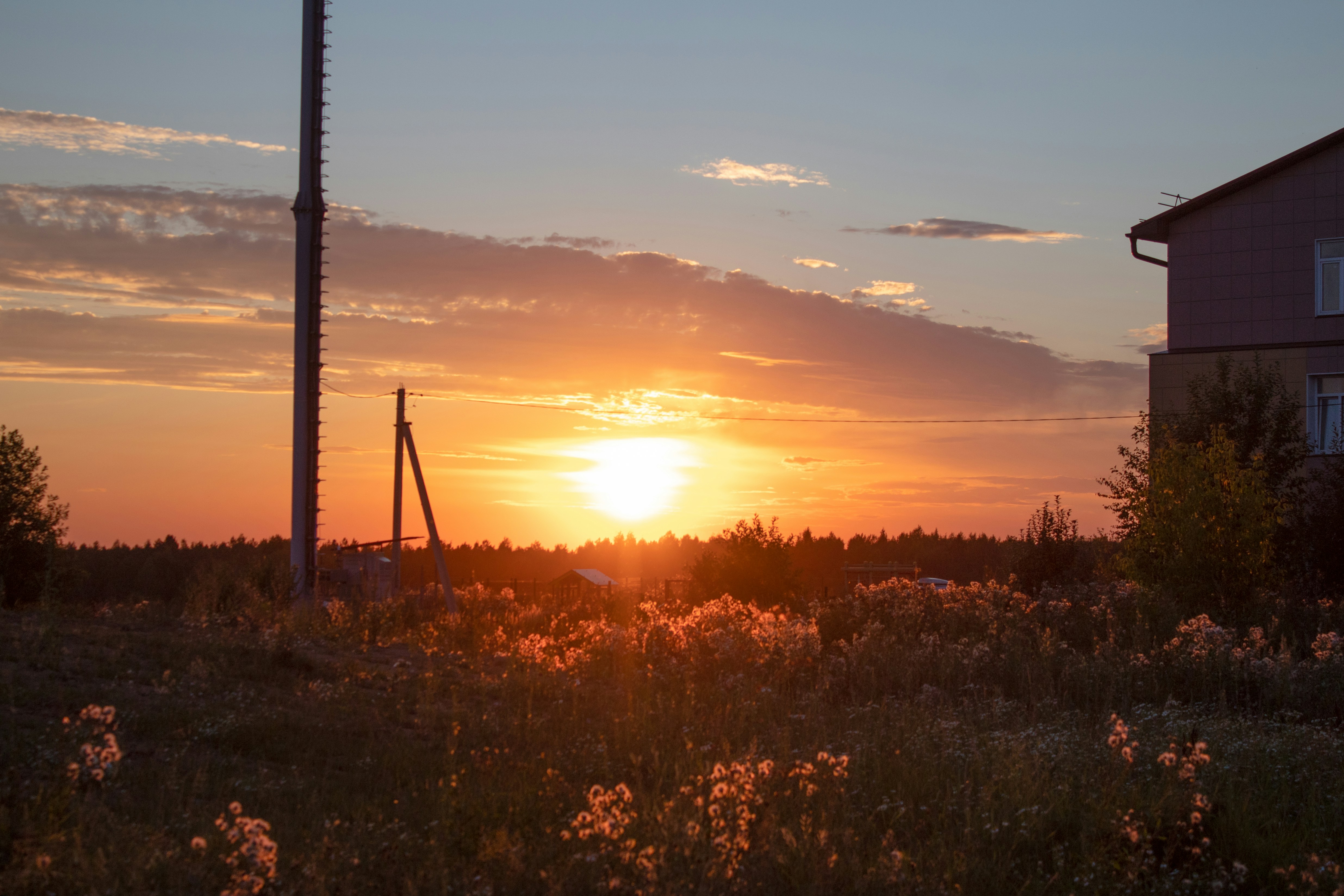 Golden Horizon Over Suburban Meadow
