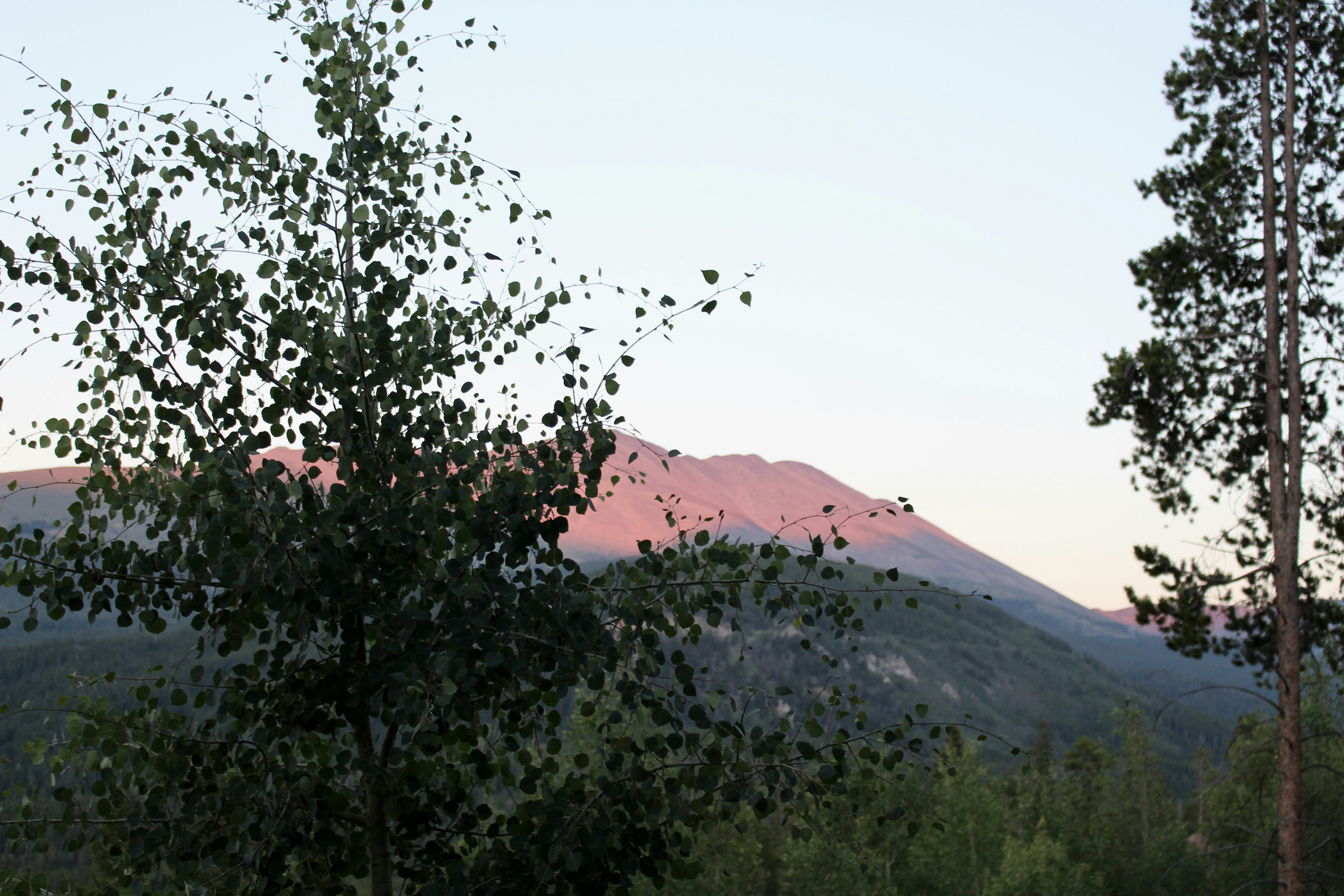 A red mountain behind trees photo – Free Breckenridge Image on Unsplash