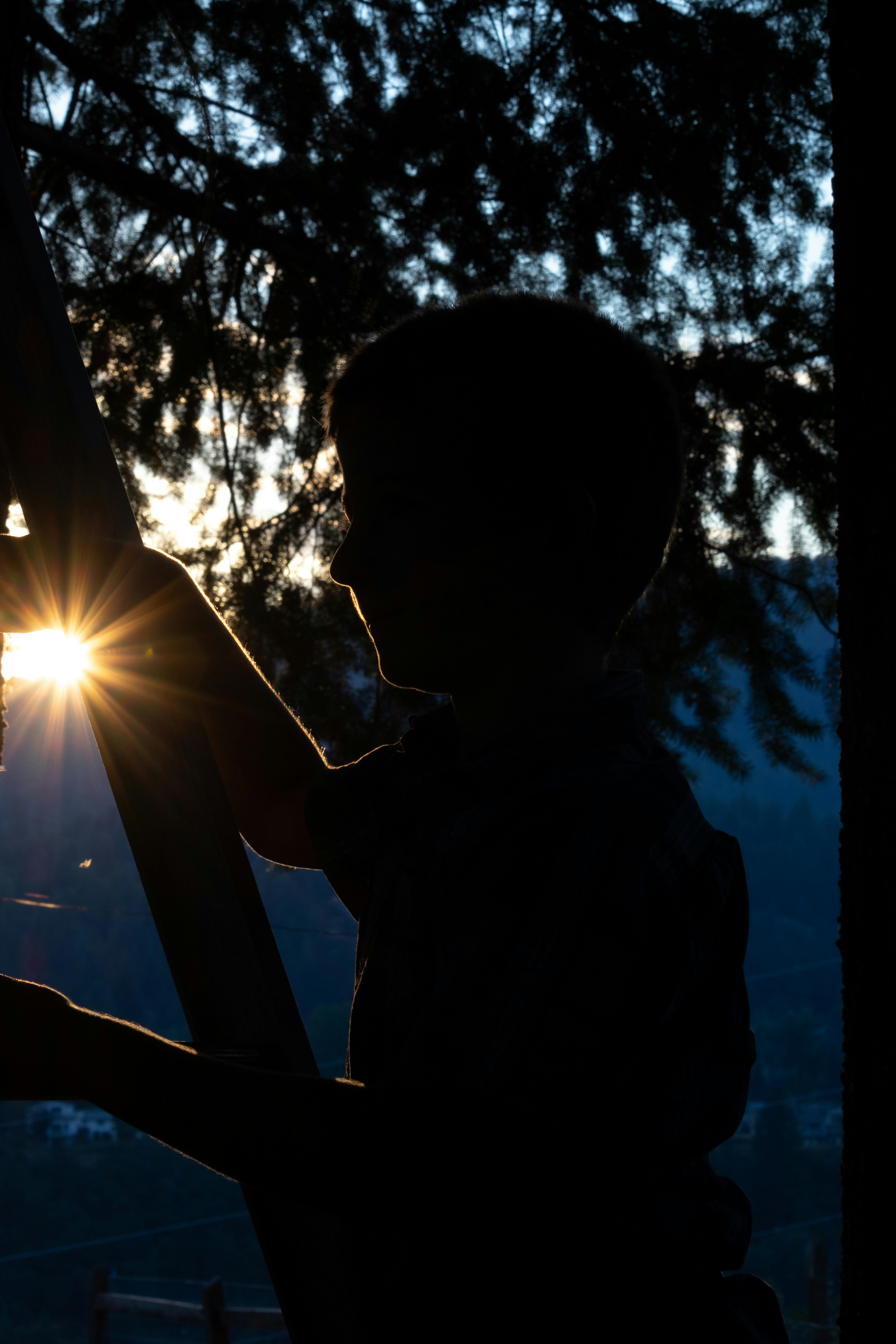 Sunburst Silhouette: A Child Grips a Ladder Under Pine Canopy at Dusk