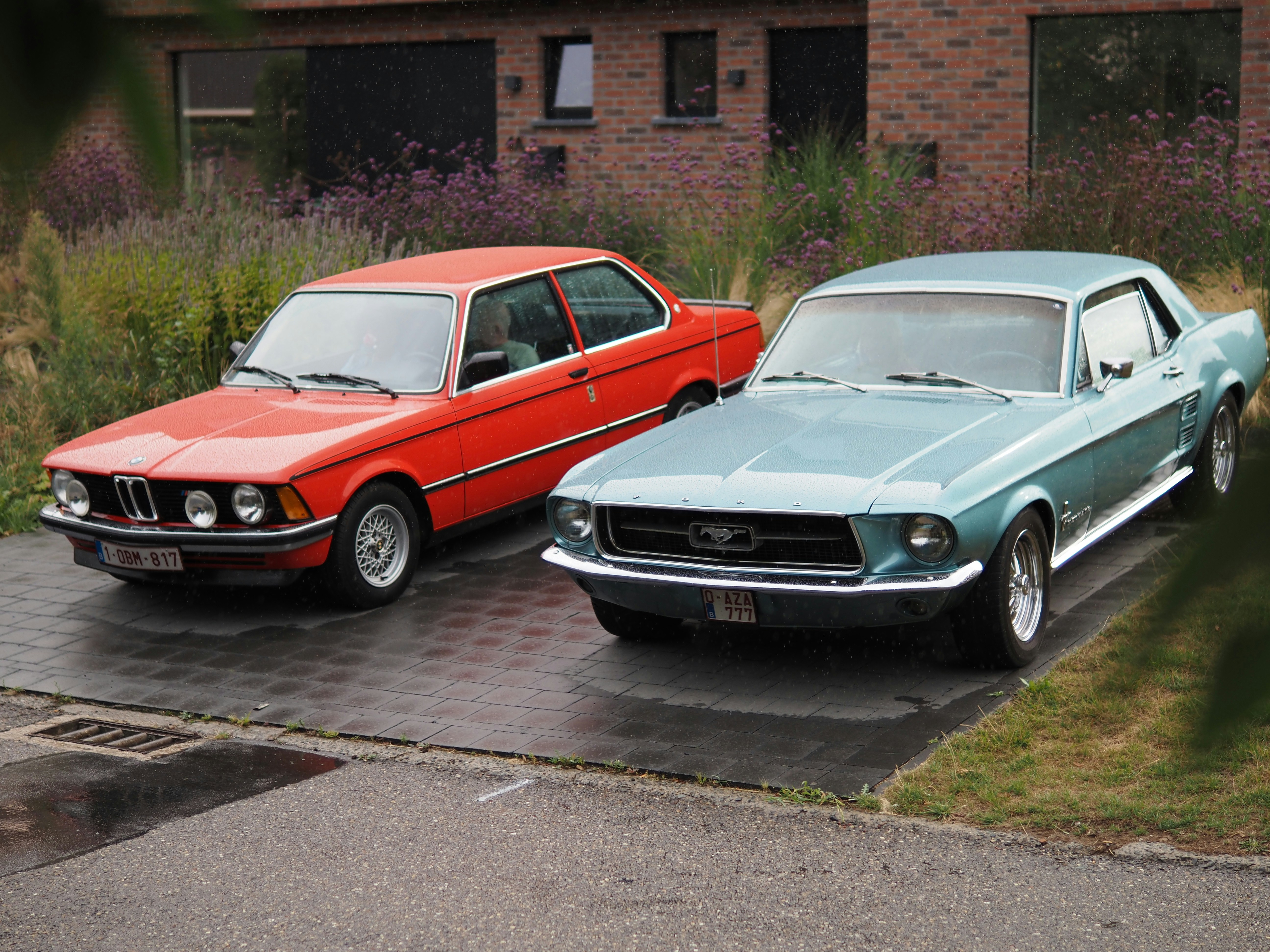 Rain-Kissed Rivals: Red Sedan and Sky-Blue Coupe Sit Side by Side