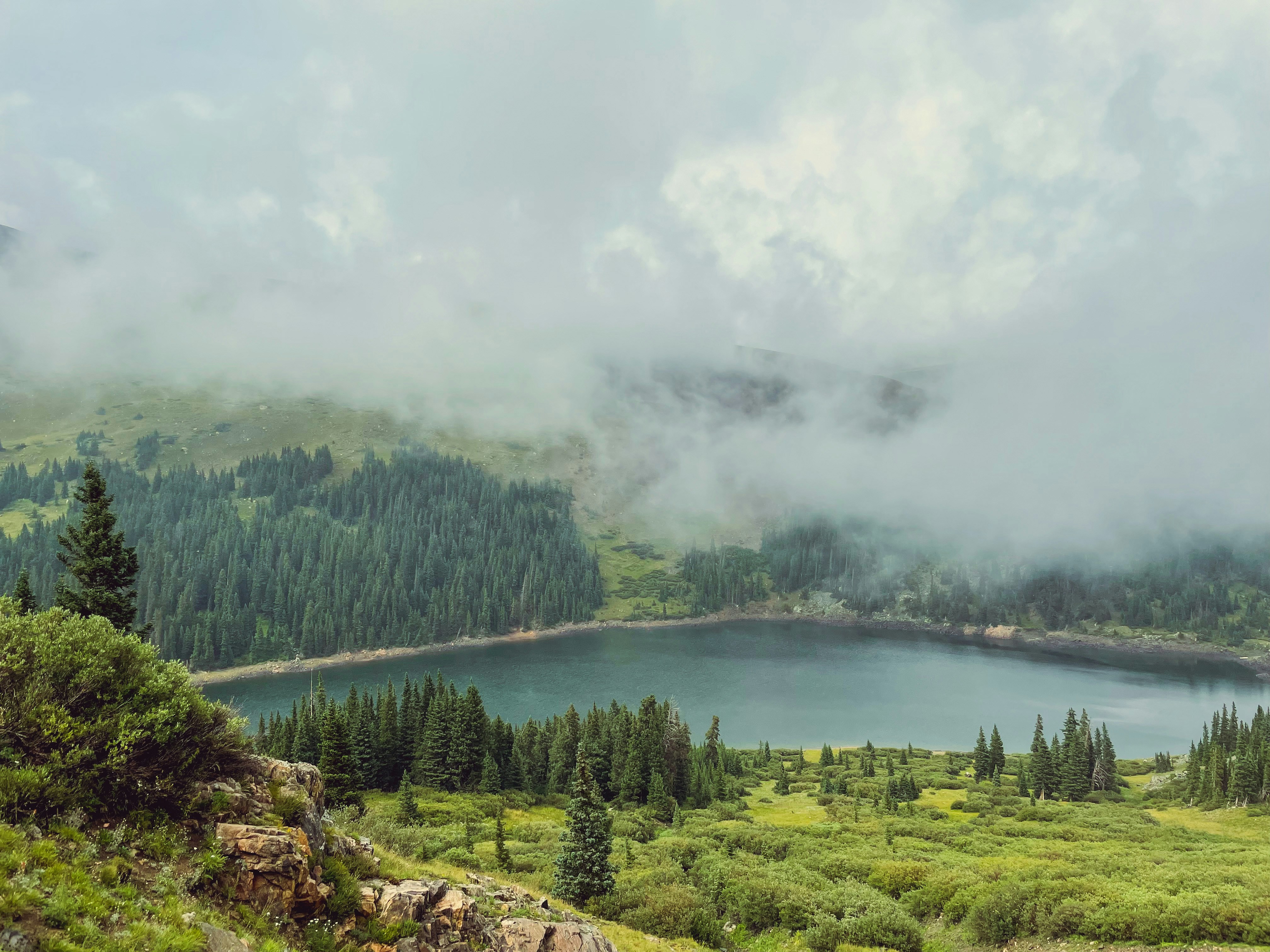 Mist-Softened Lake Between Pine-Crowned Slopes