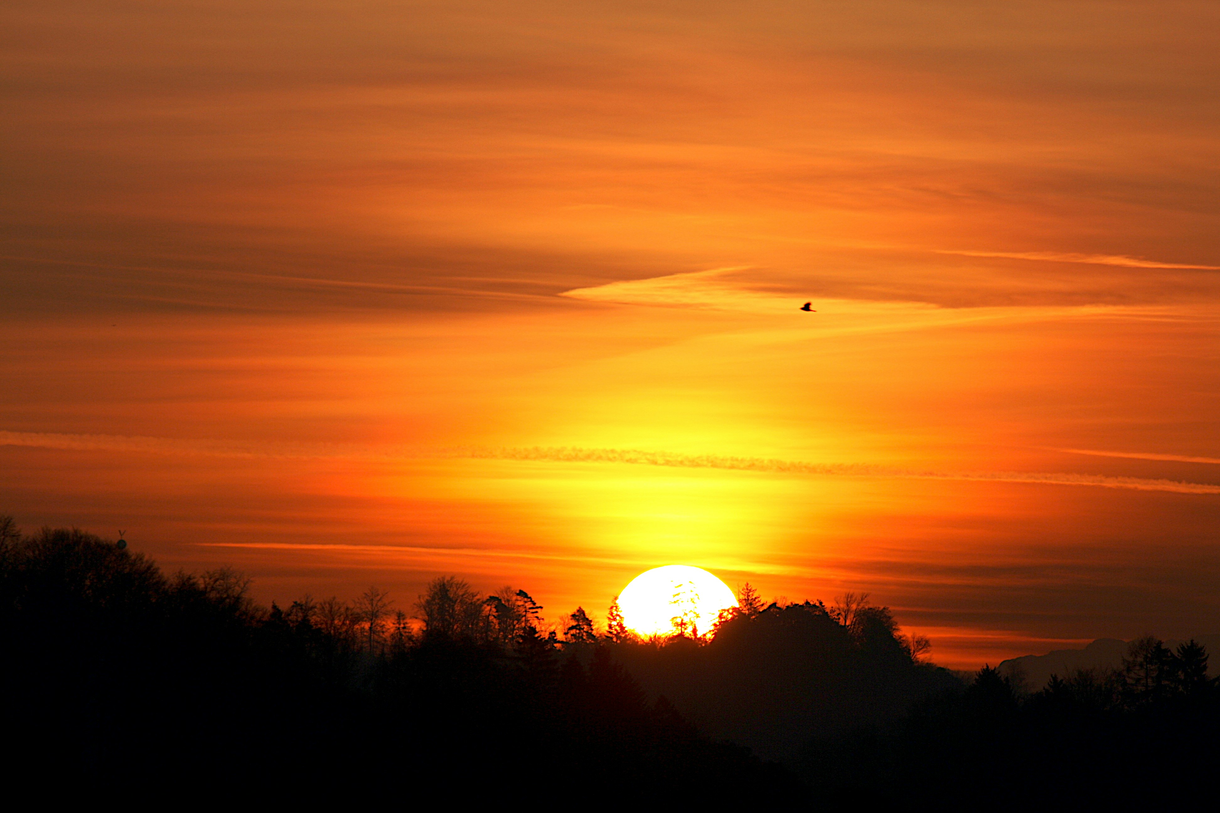 Evening sky in summer