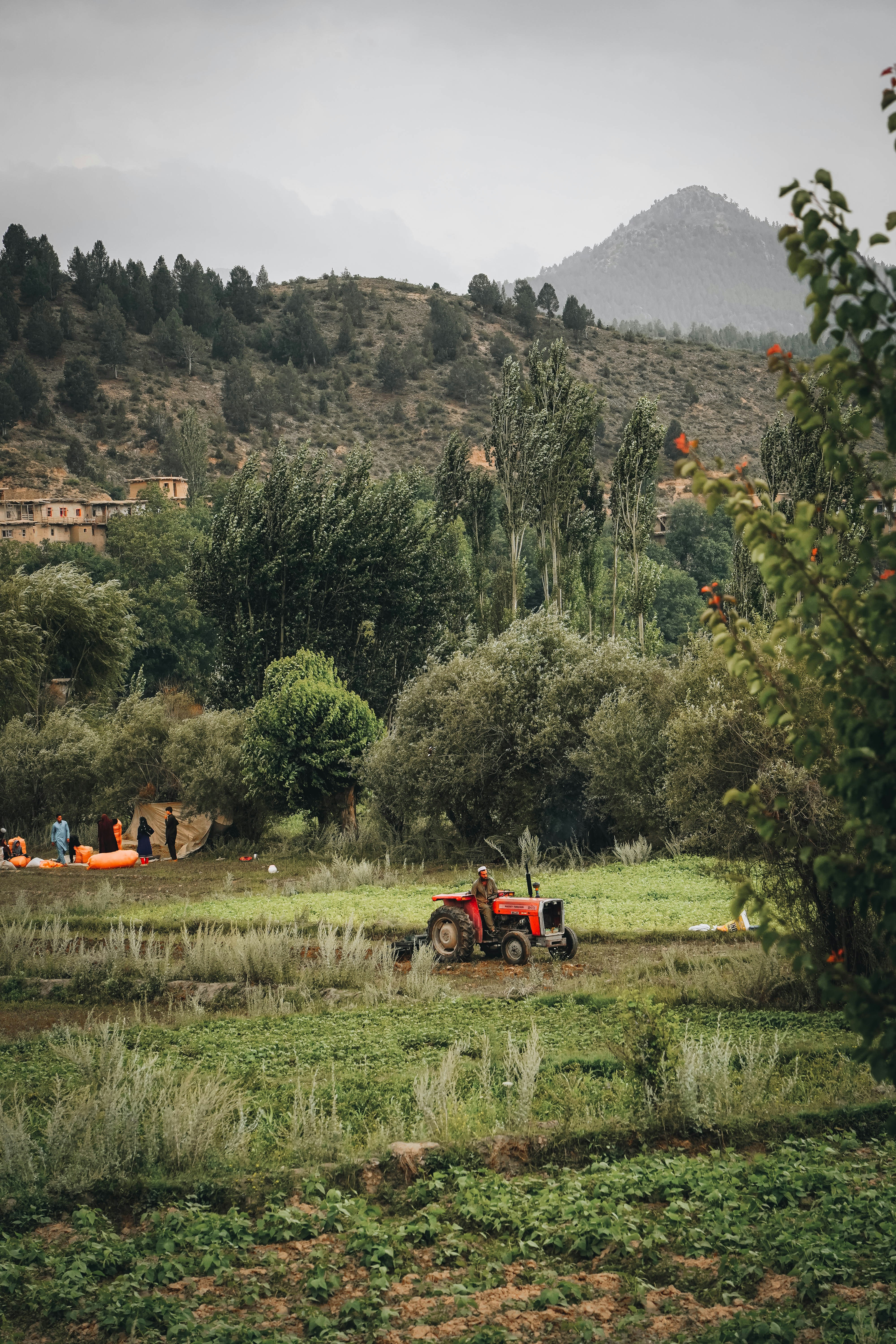 Tujg, Afghanistan - all you need to know