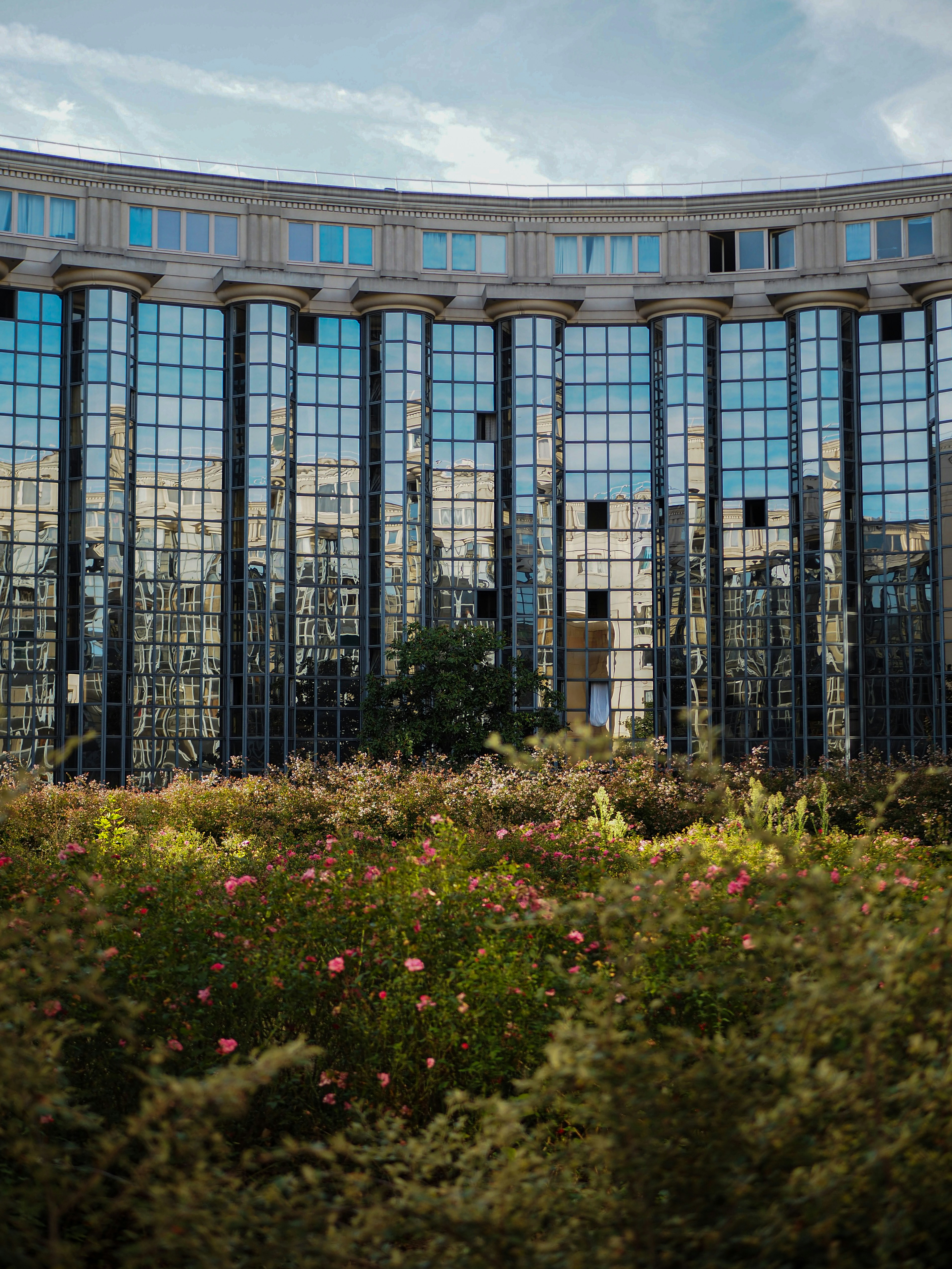 Bloom and Glass: A Garden Framed by a Curved Glass Façade