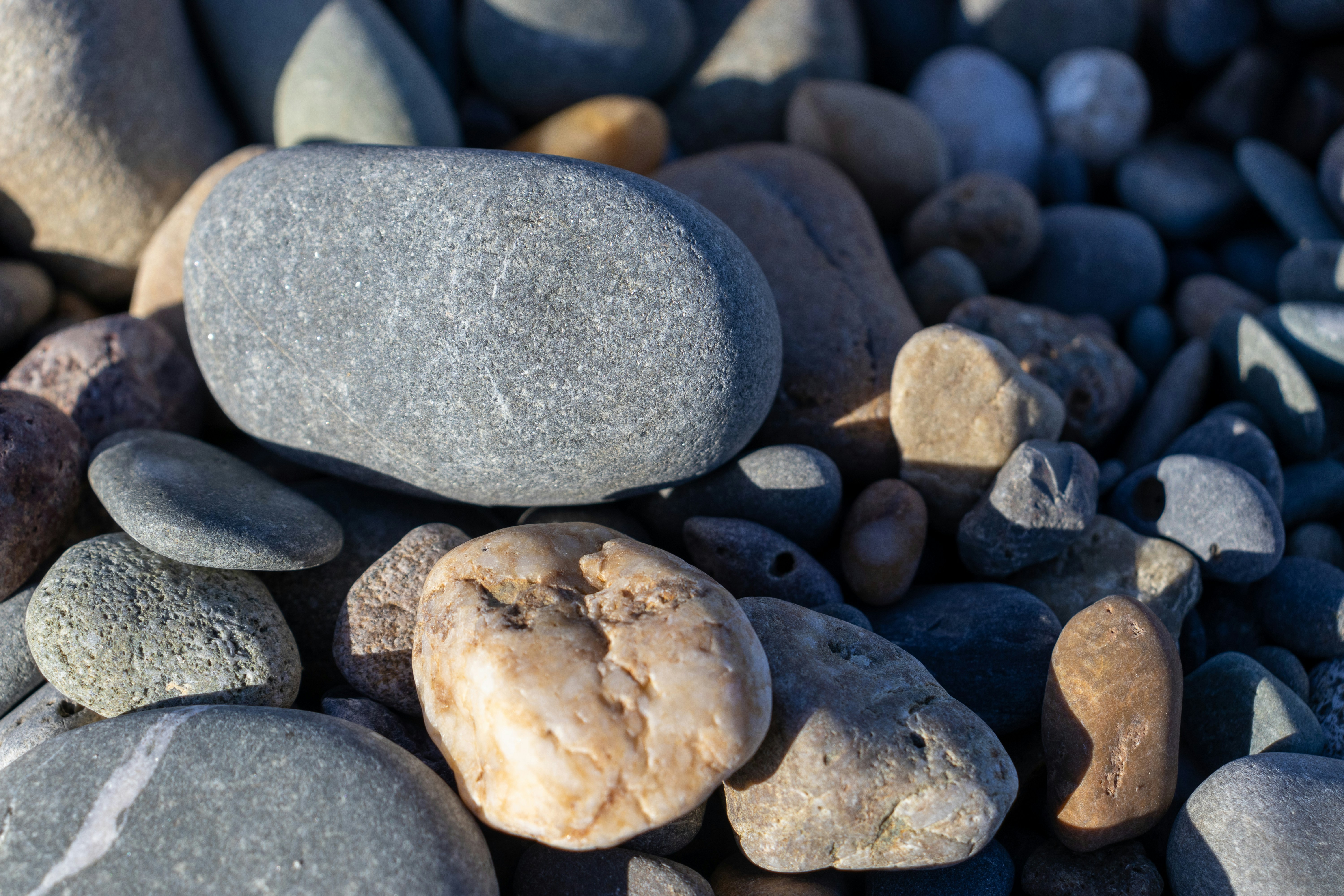 Foto Un grupo de rocas – Imagen Rebuznar gratis en Unsplash