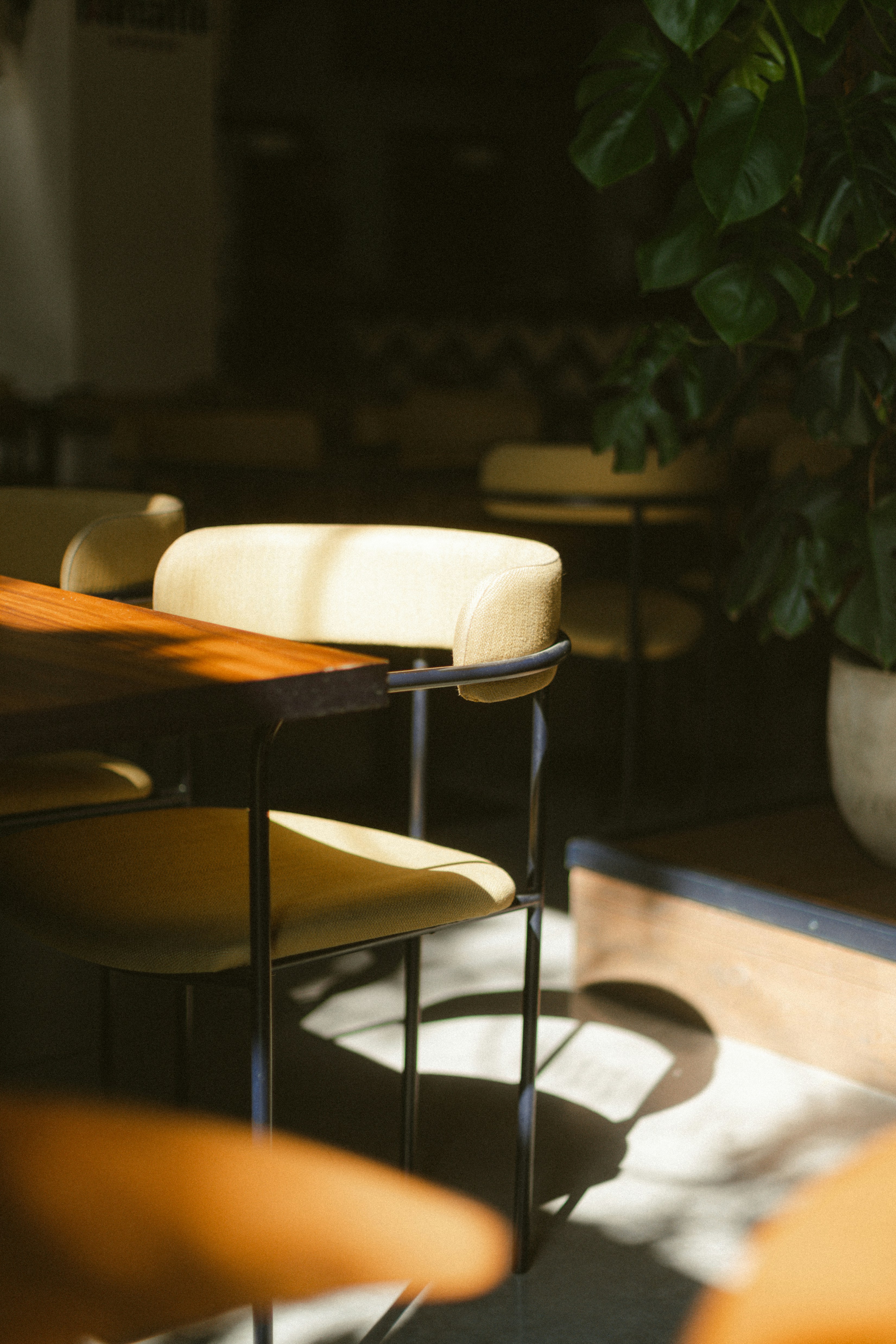 A group of chairs and tables photo – Free Belgrade Image on Unsplash