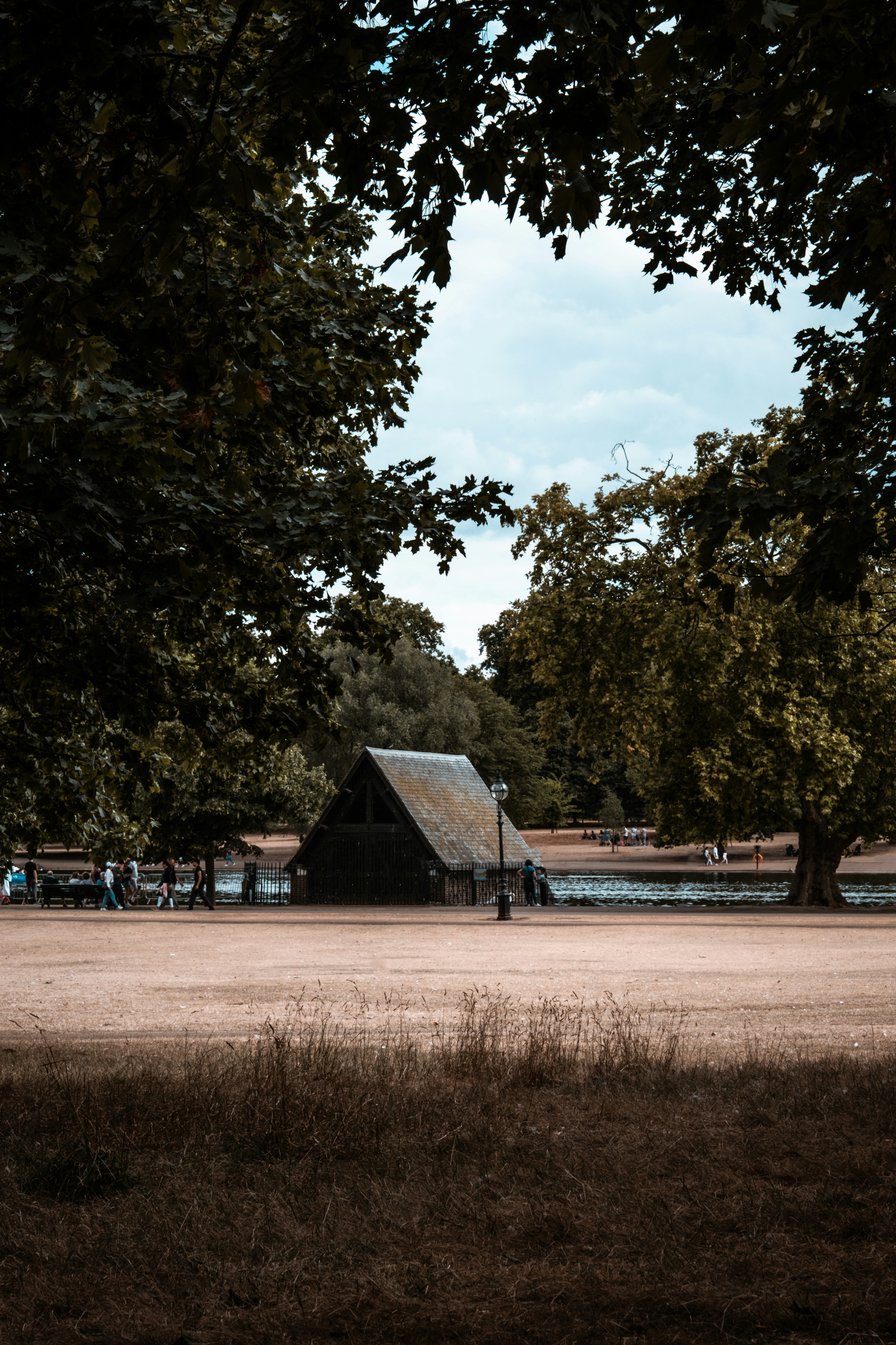 A Quiet Lakeside Shelter Framed by Ancient Canopies