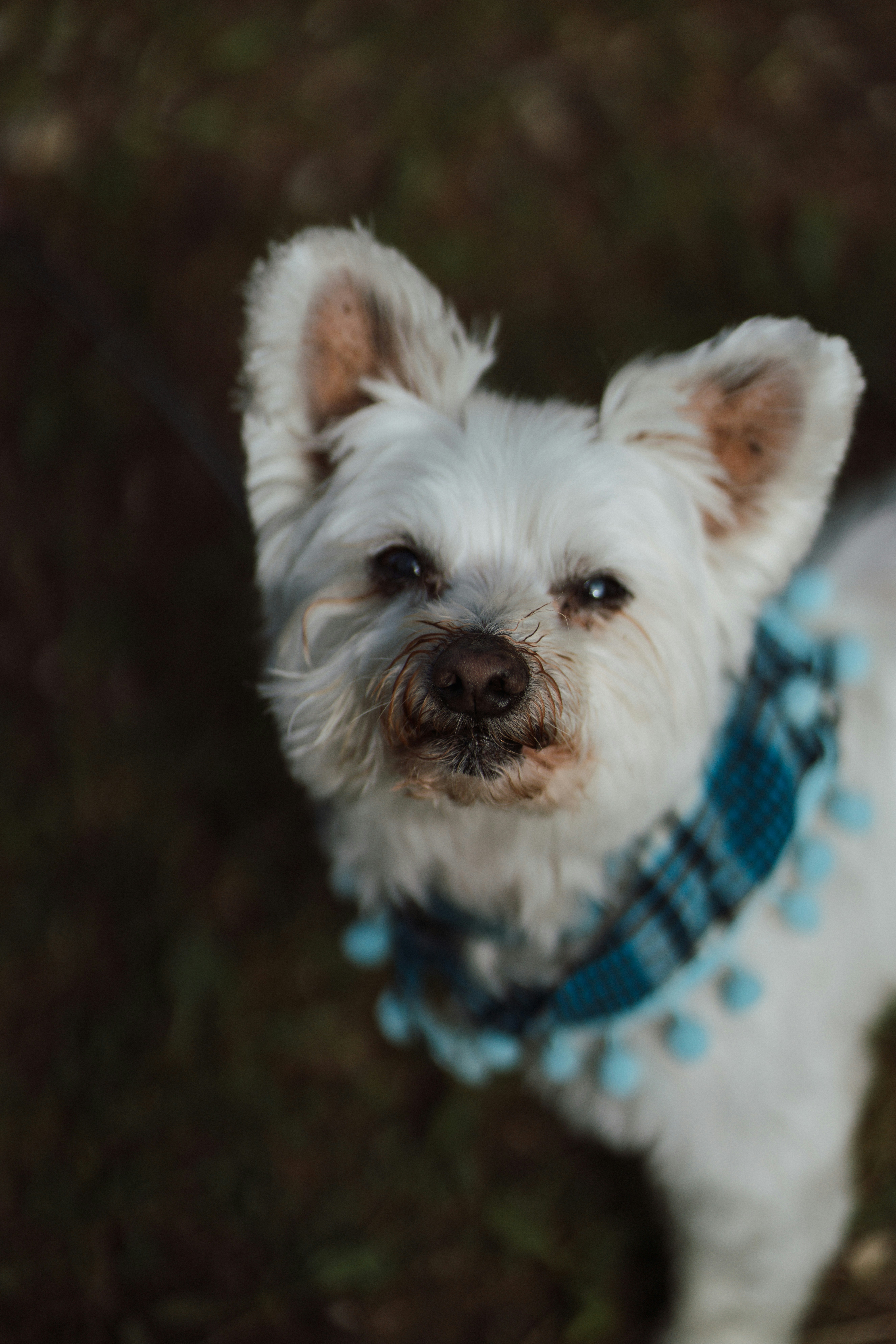 Photo by Marcel Strauß with Sony Alpha 7R III