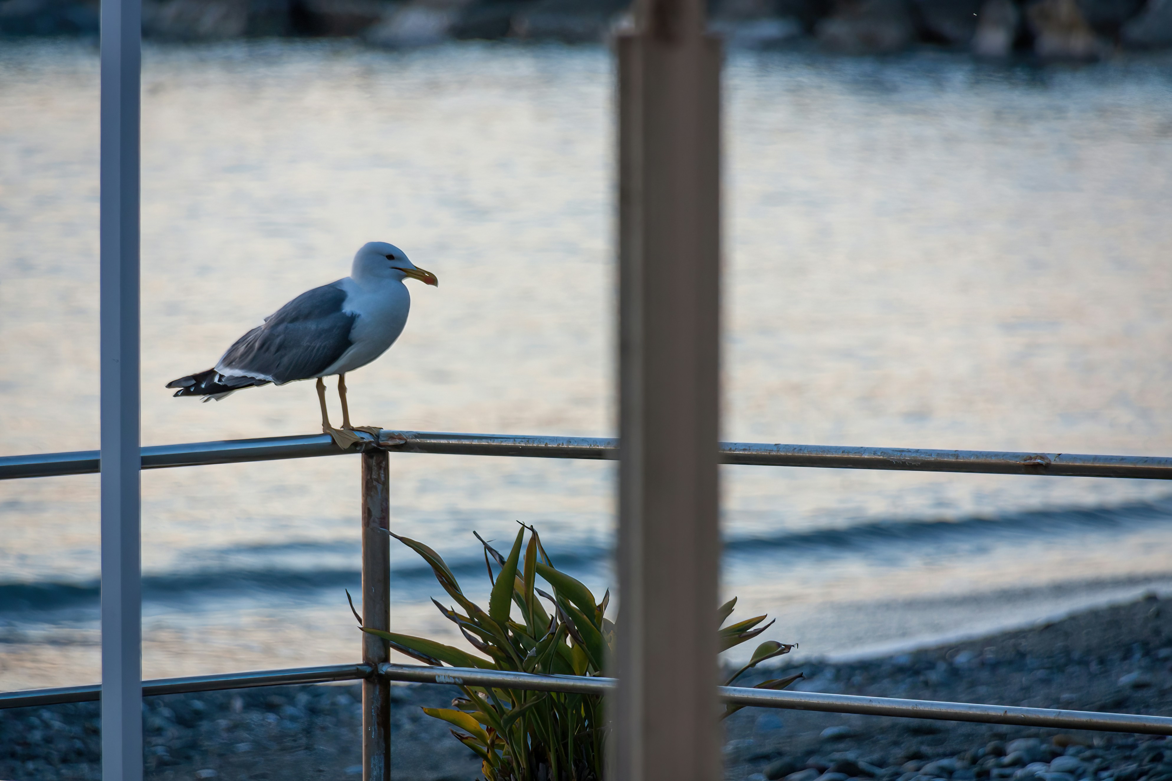 Image Gris gratuite sur Unsplash