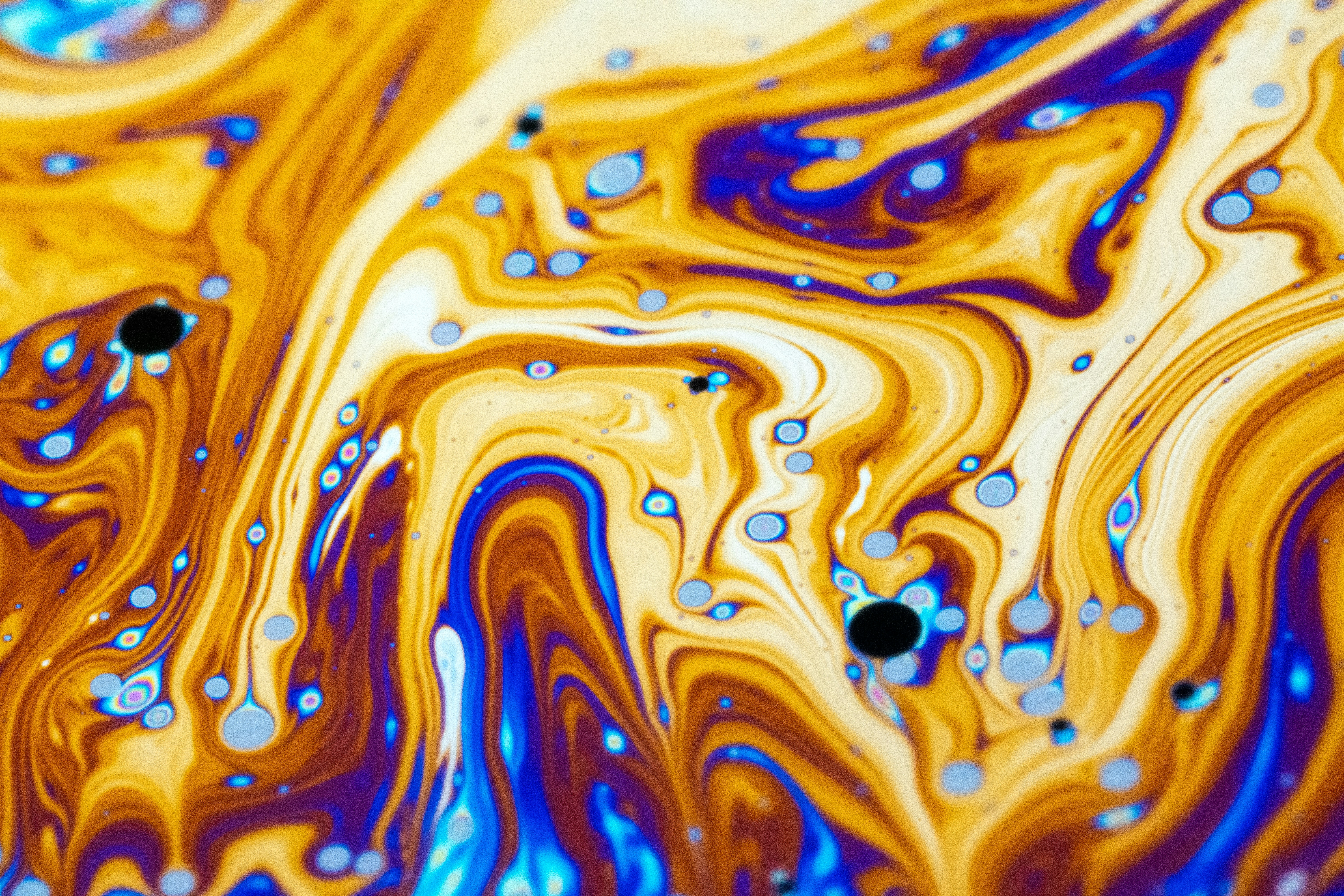 Marco Angelo (@marcoangelo) | Unsplash Photo Community