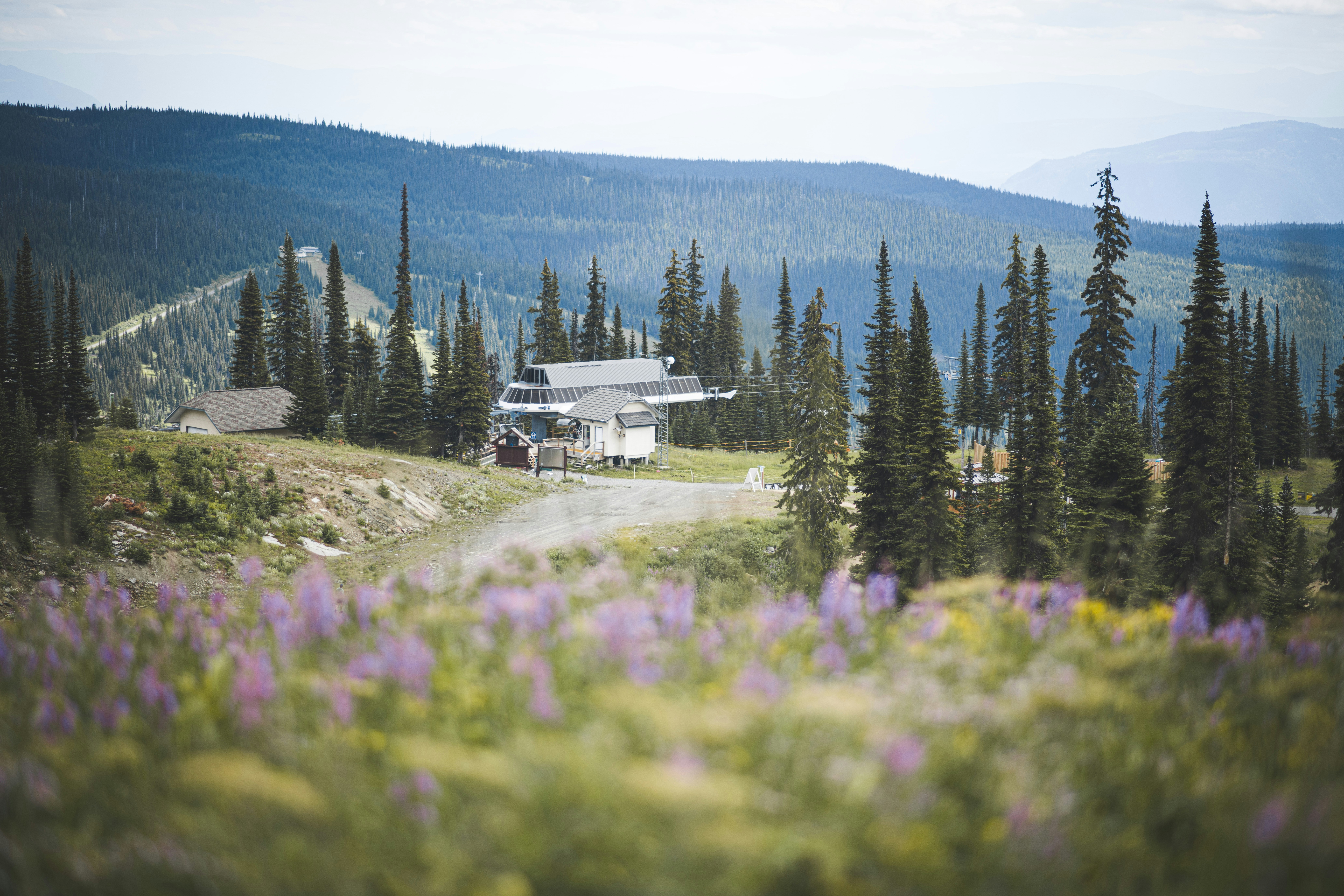 Mountain Retreat: A Gateway to Adventure