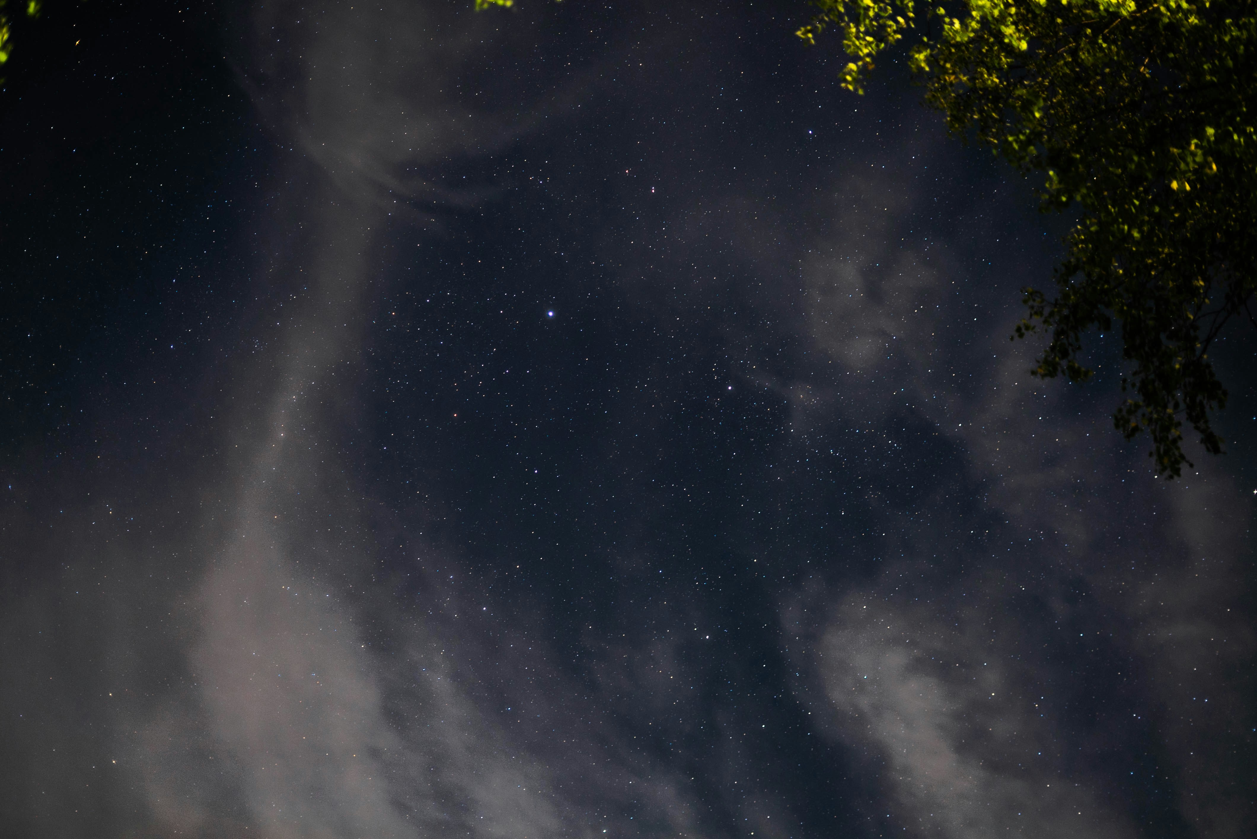 Starry night sky adorned with scattered stars and wispy clouds, framed by the silhouettes of tree branches.