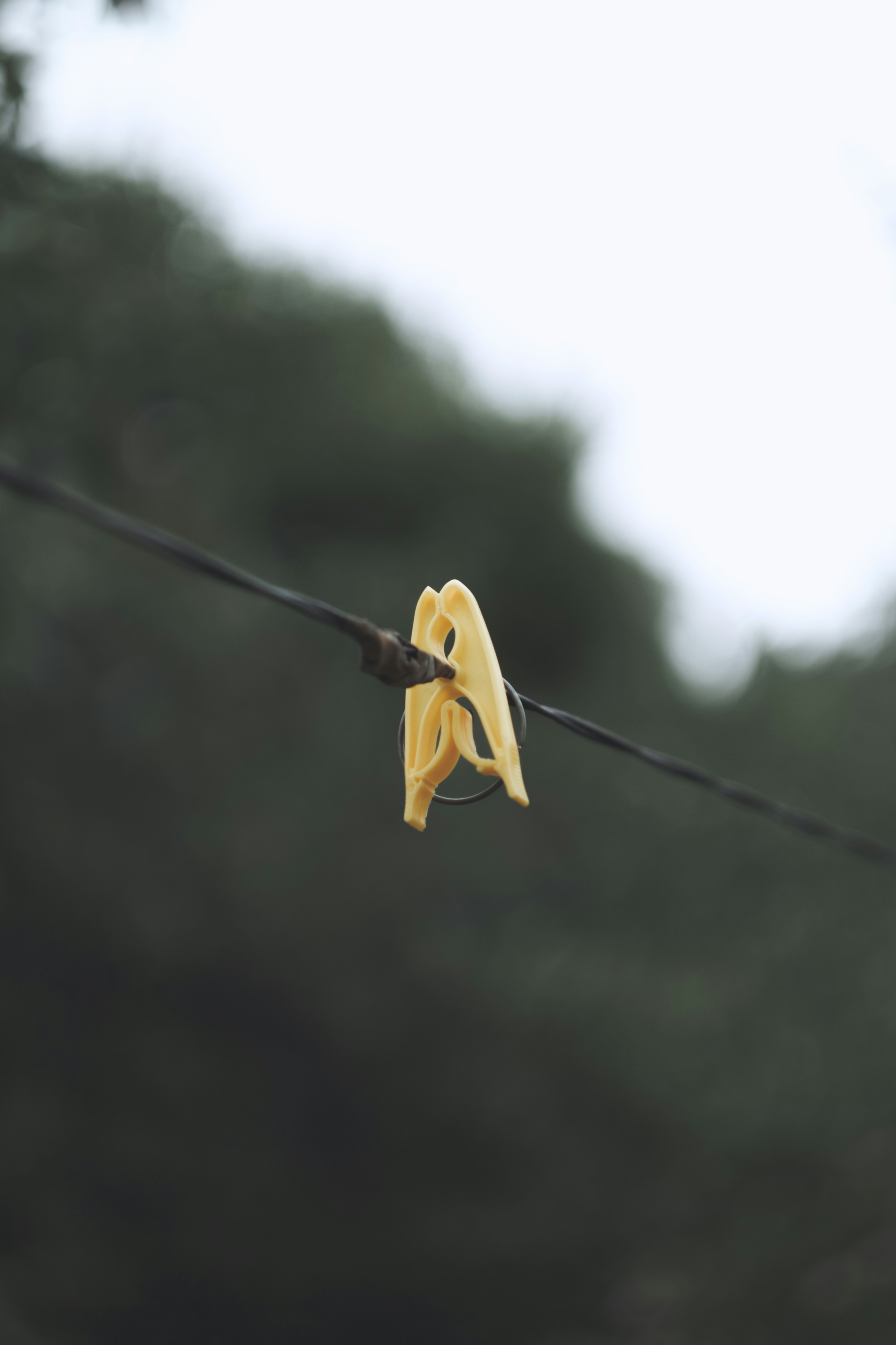 Solo clothespeg on a wire under a soft, overcast sky