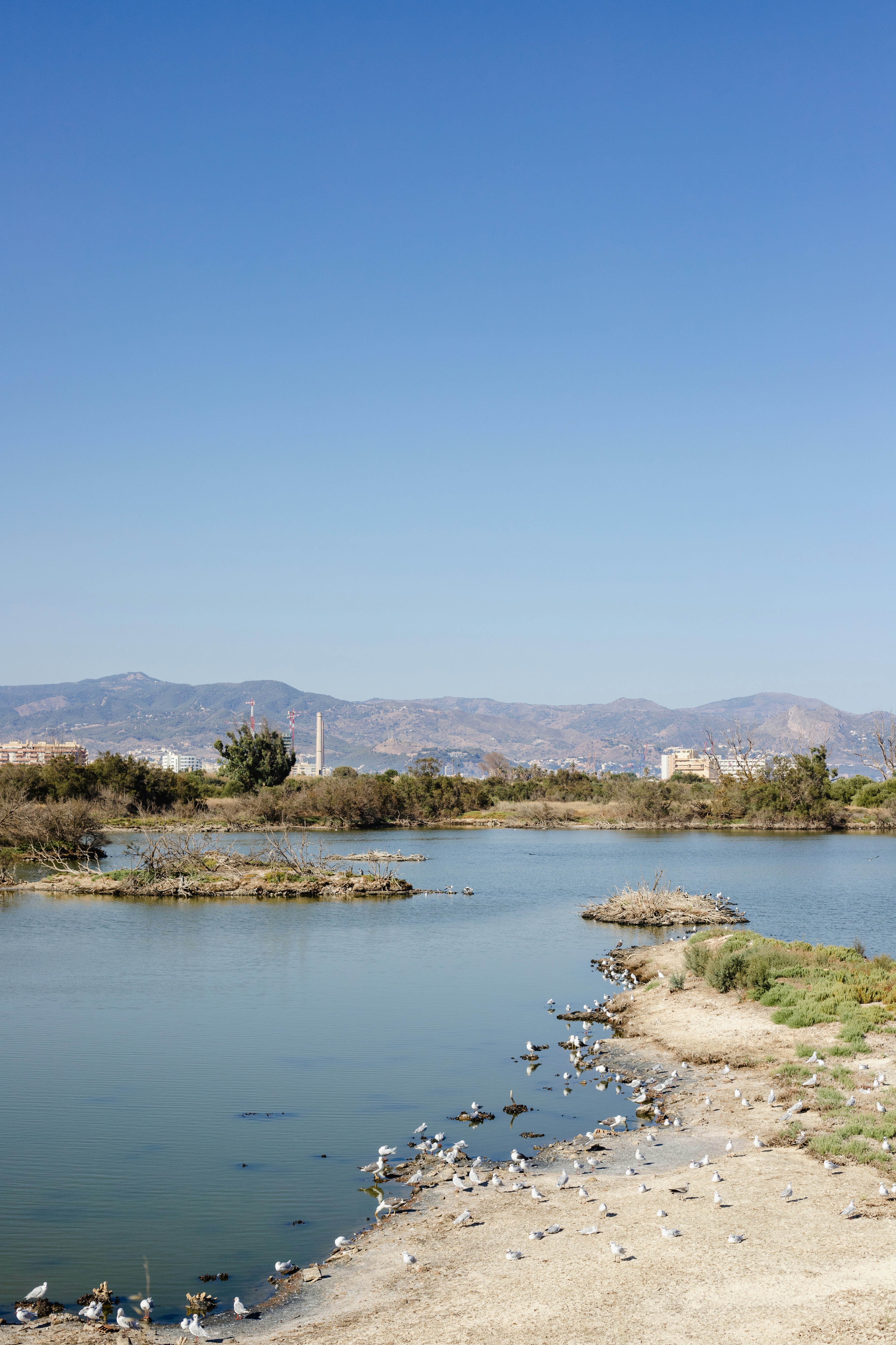Un plan d’eau entouré de terre et une plage avec une tour au loin photo ...