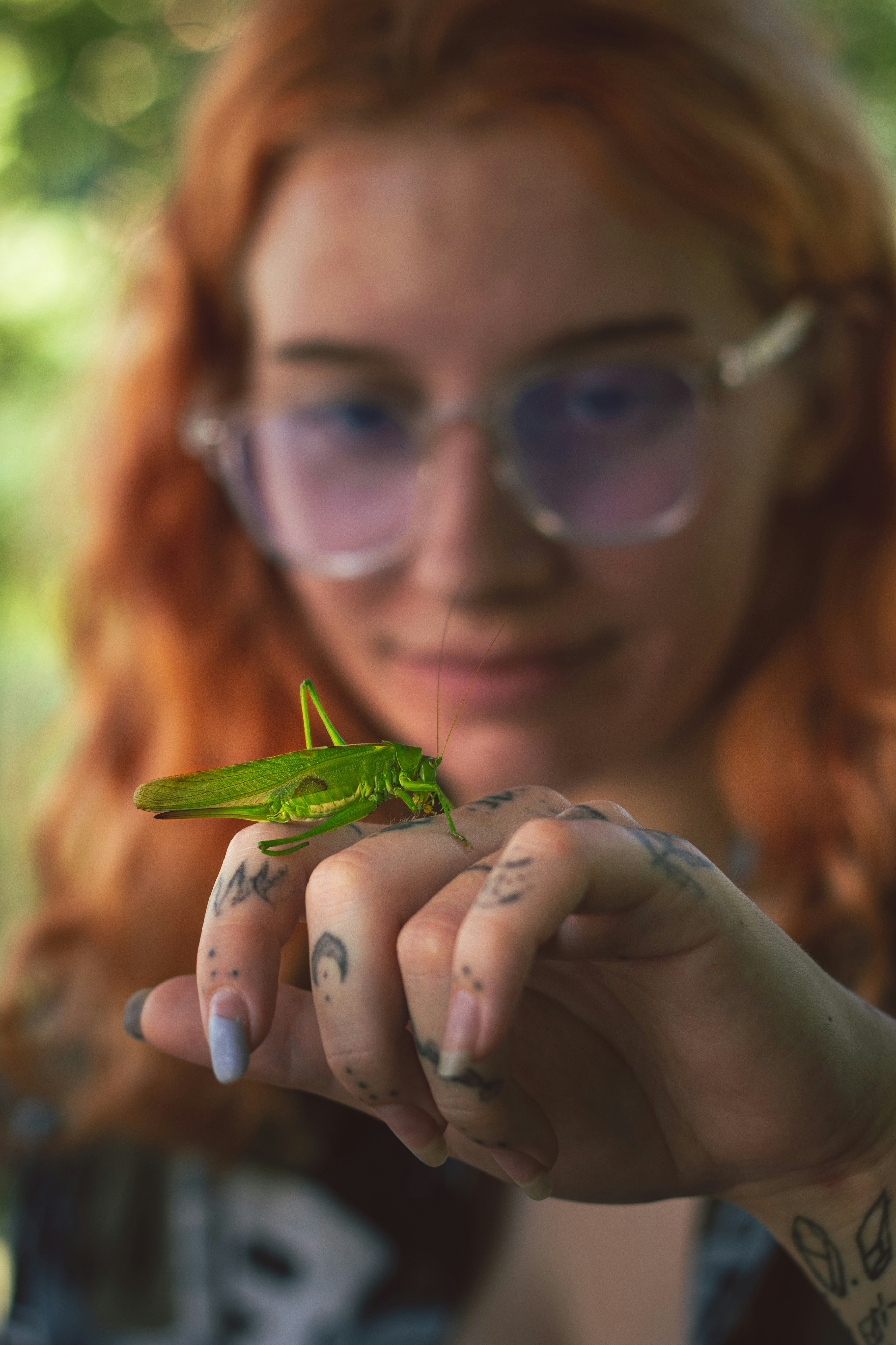 a person holding a small green plant