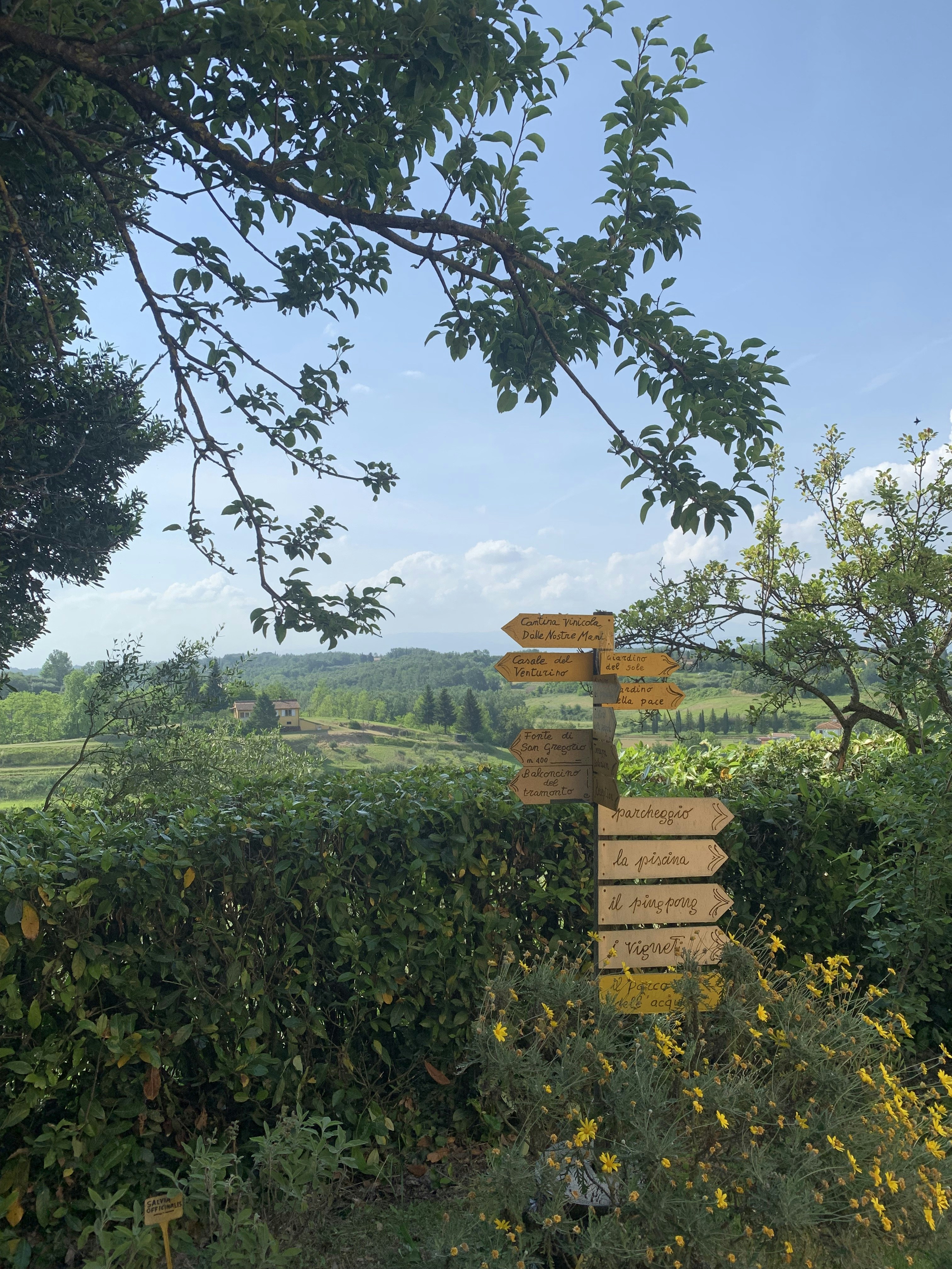 Sunlit Wooden Signpost in a Cottage Garden Overlooking Rolling Hills