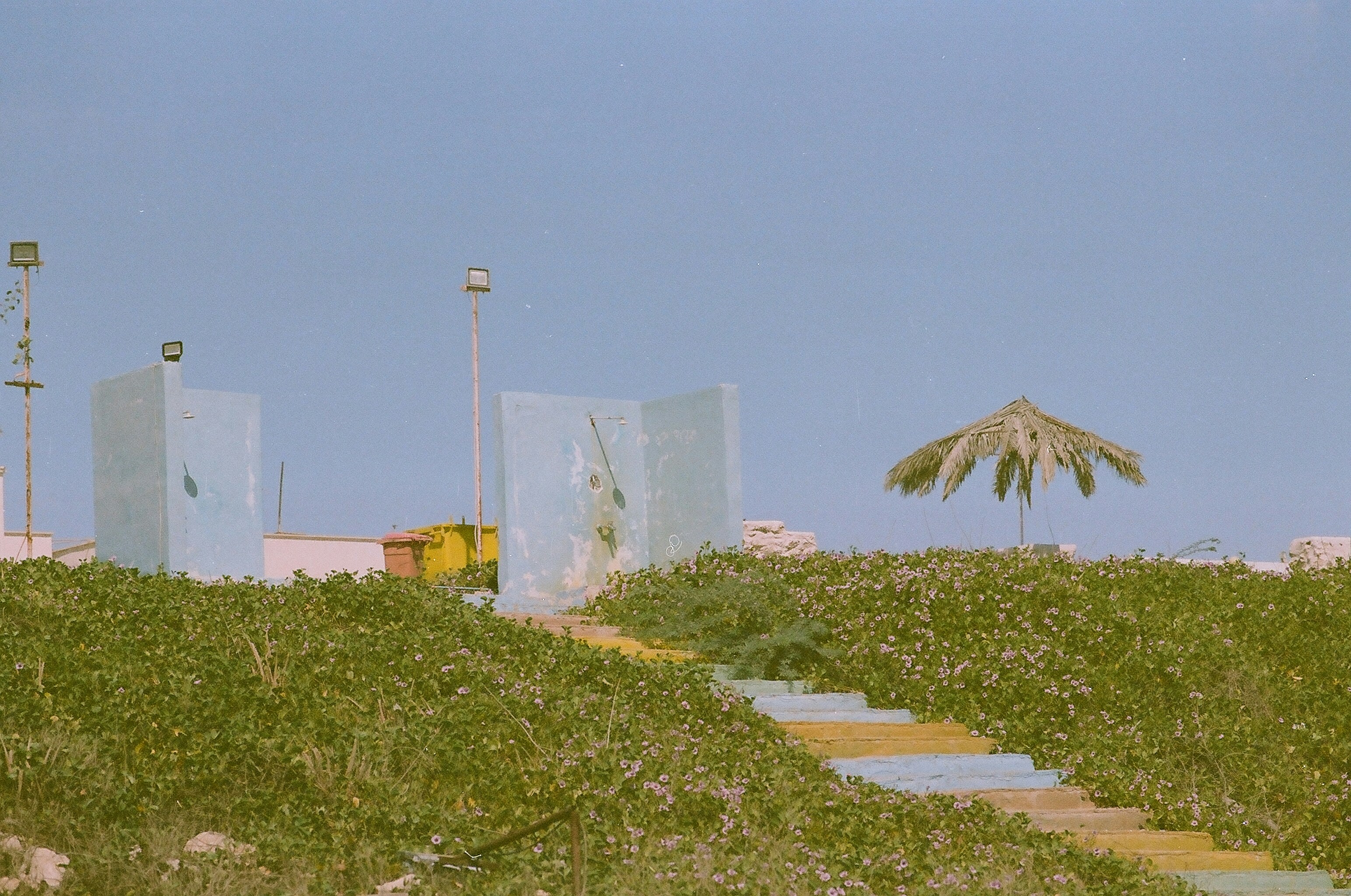 Foto Un grupo de edificios con plantas y árboles a su alrededor ...