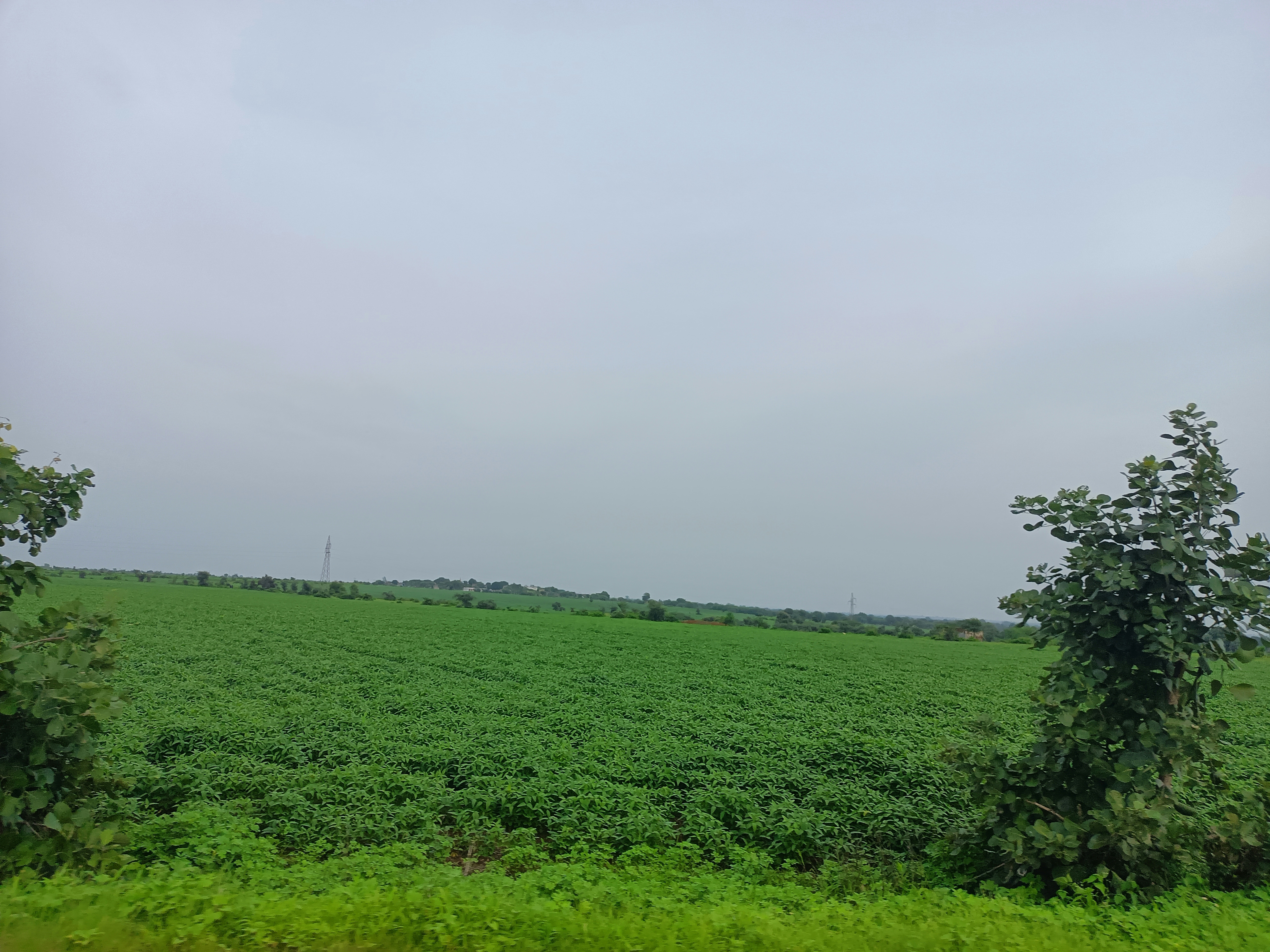 Expansive green fields stretch under a cloudy sky, framed by lush foliage on either side. The scene captures the tranquility of rural landscapes.