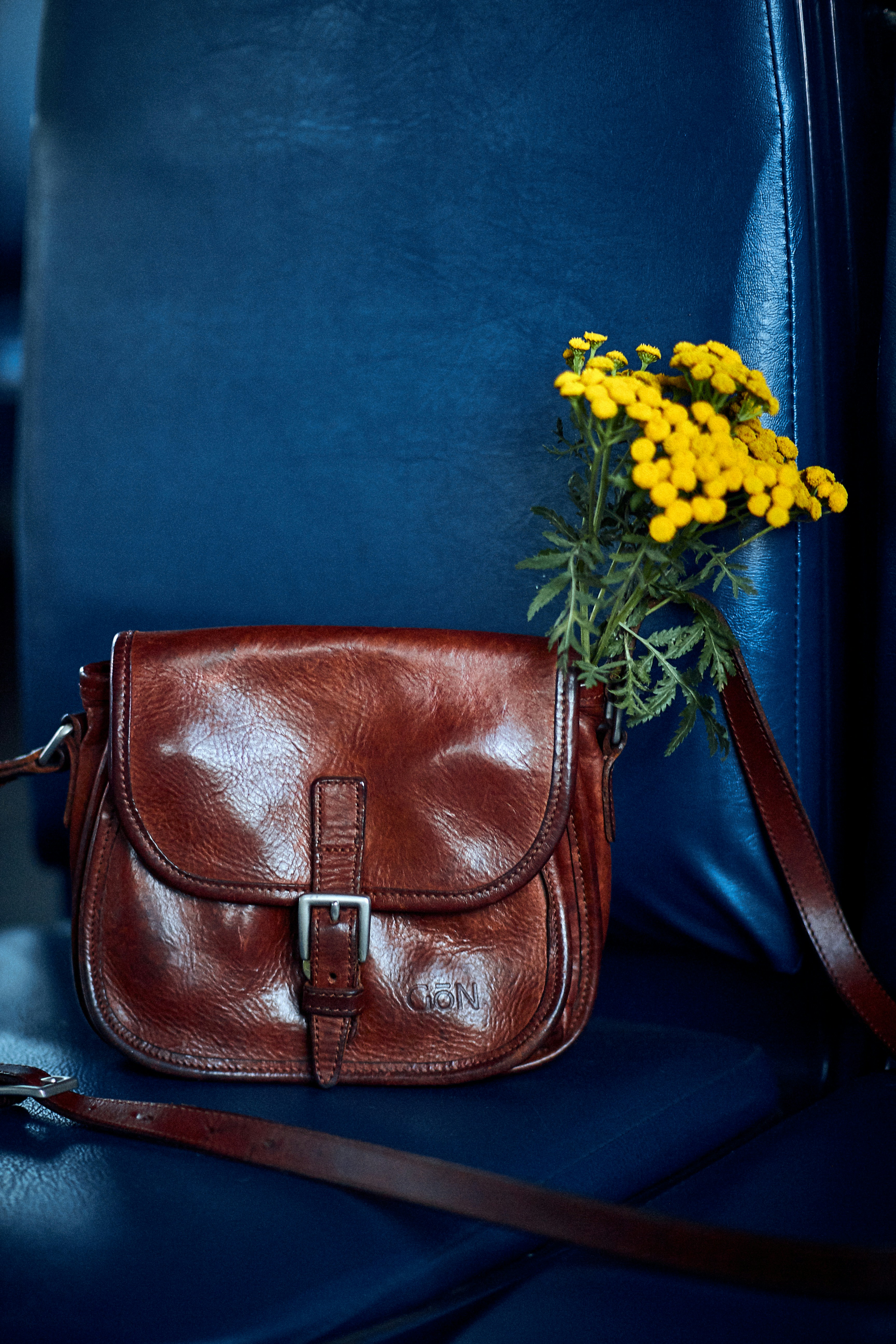 Photo by Dana Sarsenbekova with Canon EOS 600D