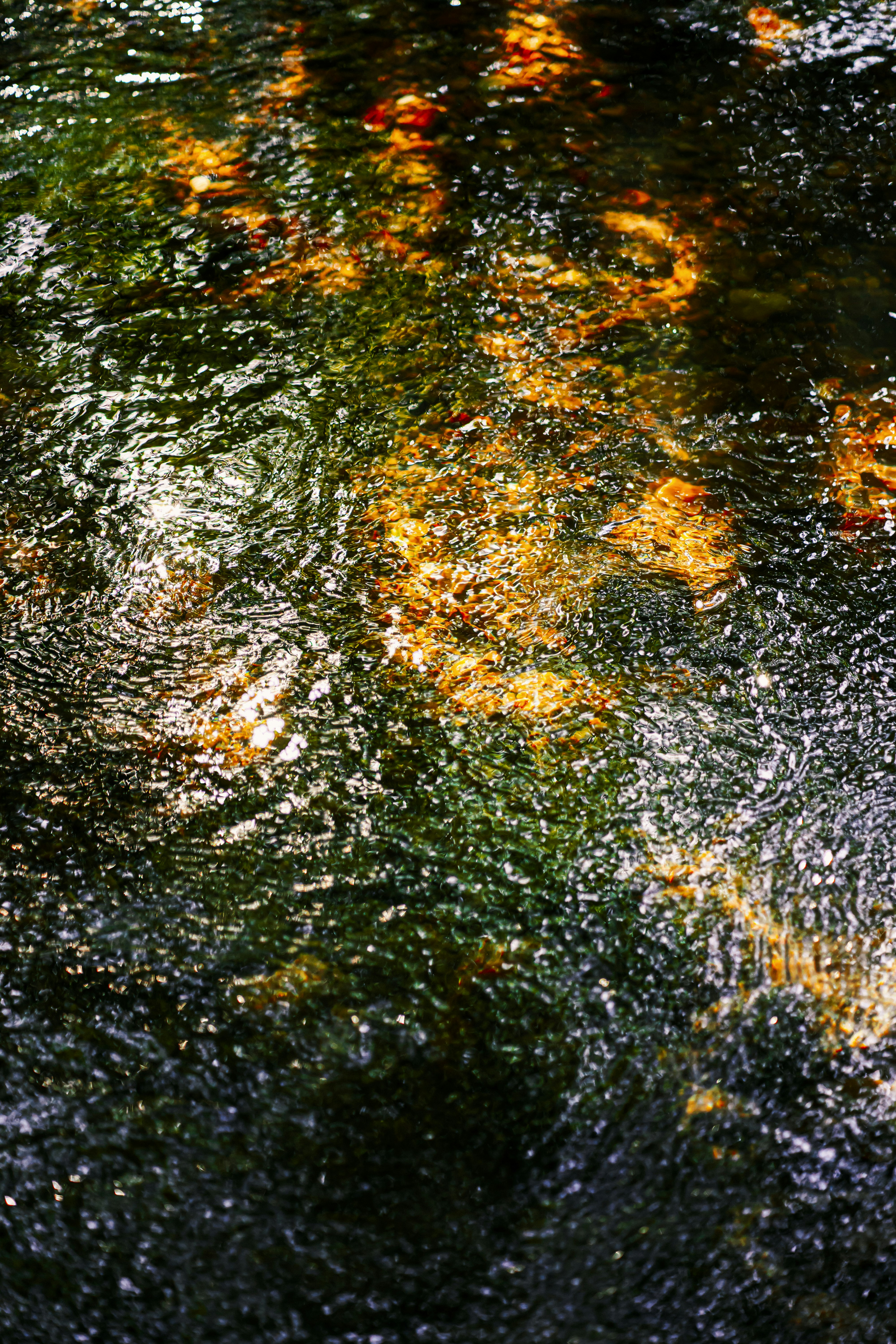 Raphael Renter x Bad Tölz Mountain River