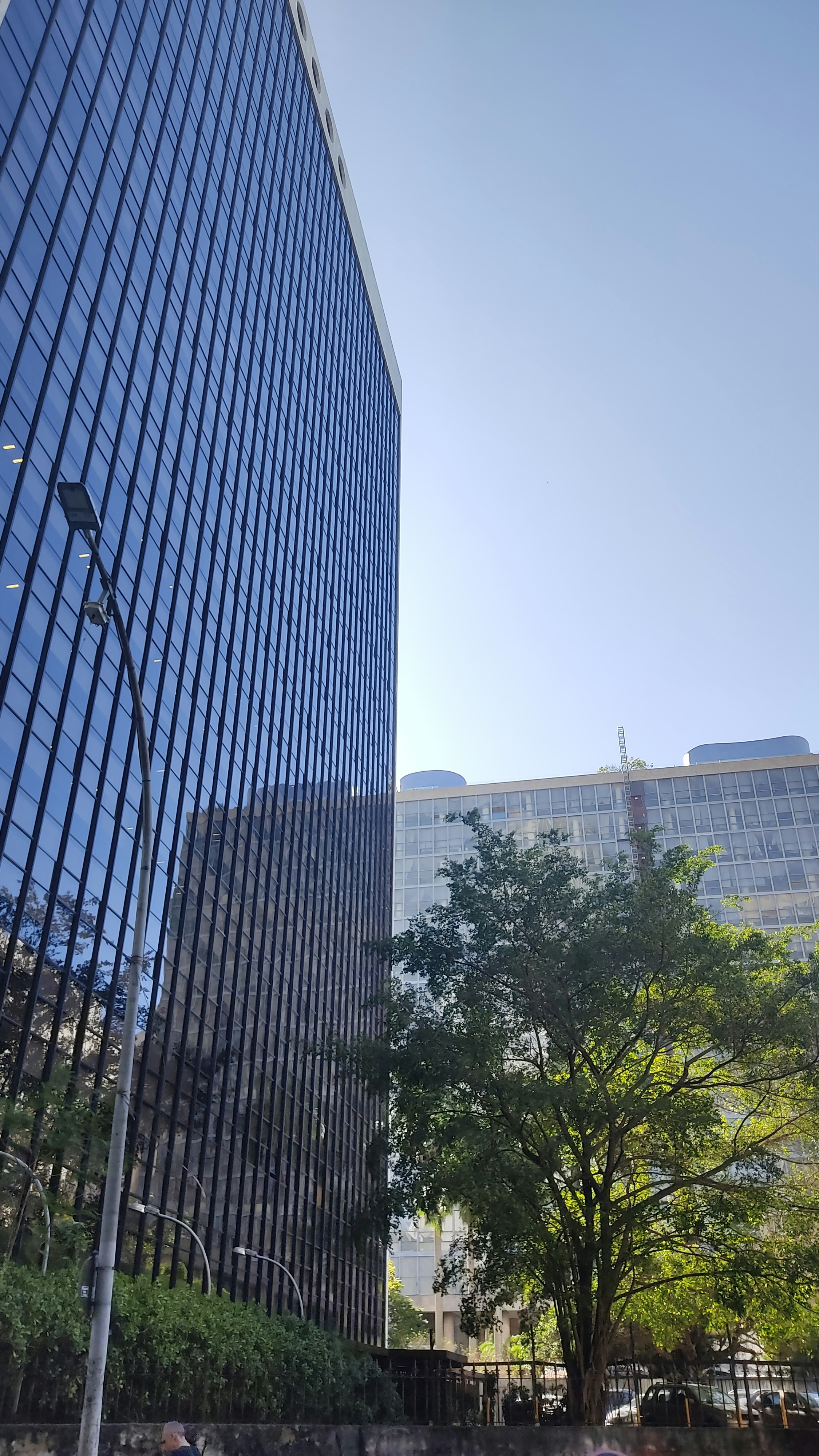 Photograph captures a tall glass office tower on the left with its reflective panels. A tree and a lighter modern building frame the scene against a clear blue sky.