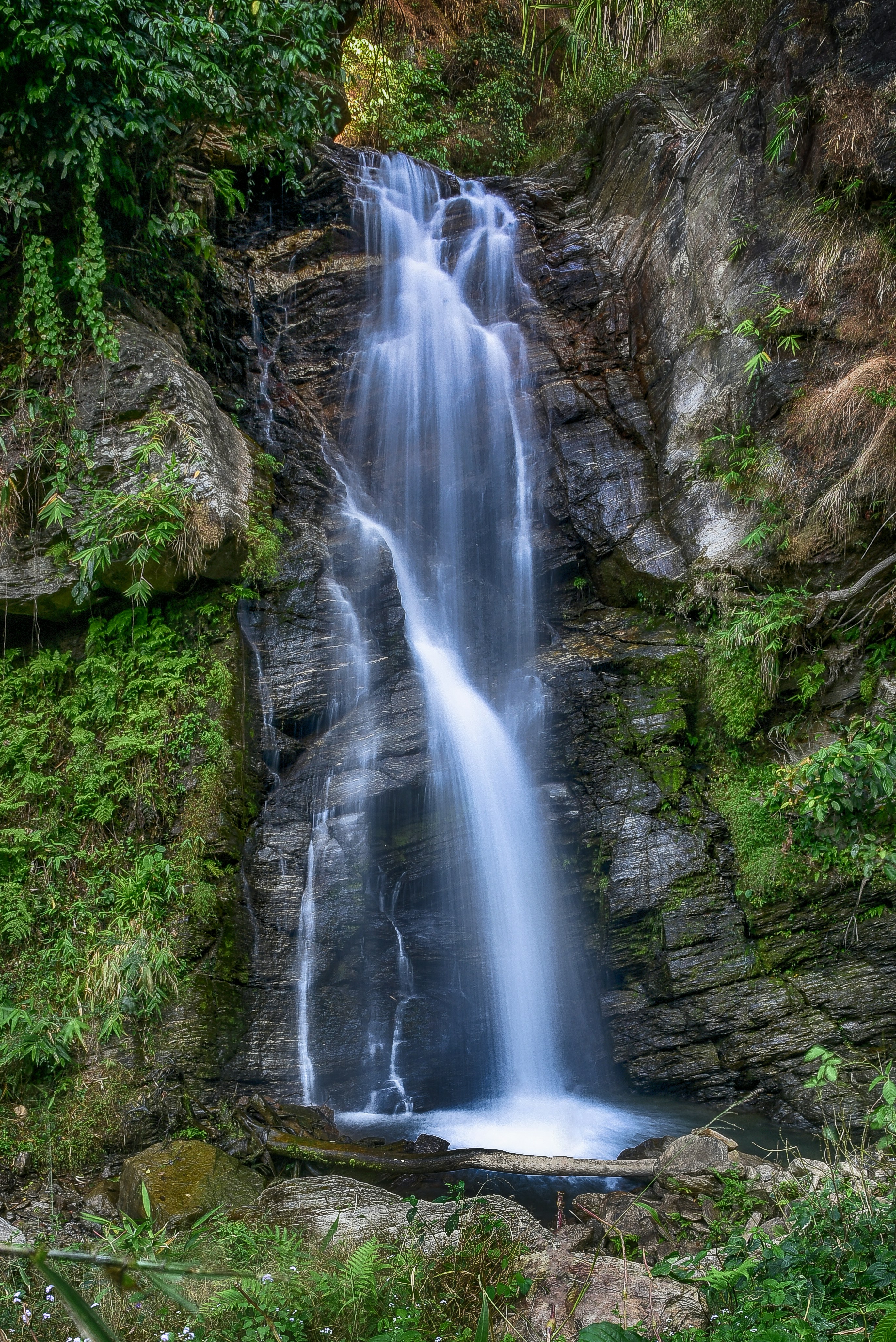 A waterfall in a forest photo – Free Mirik Image on Unsplash