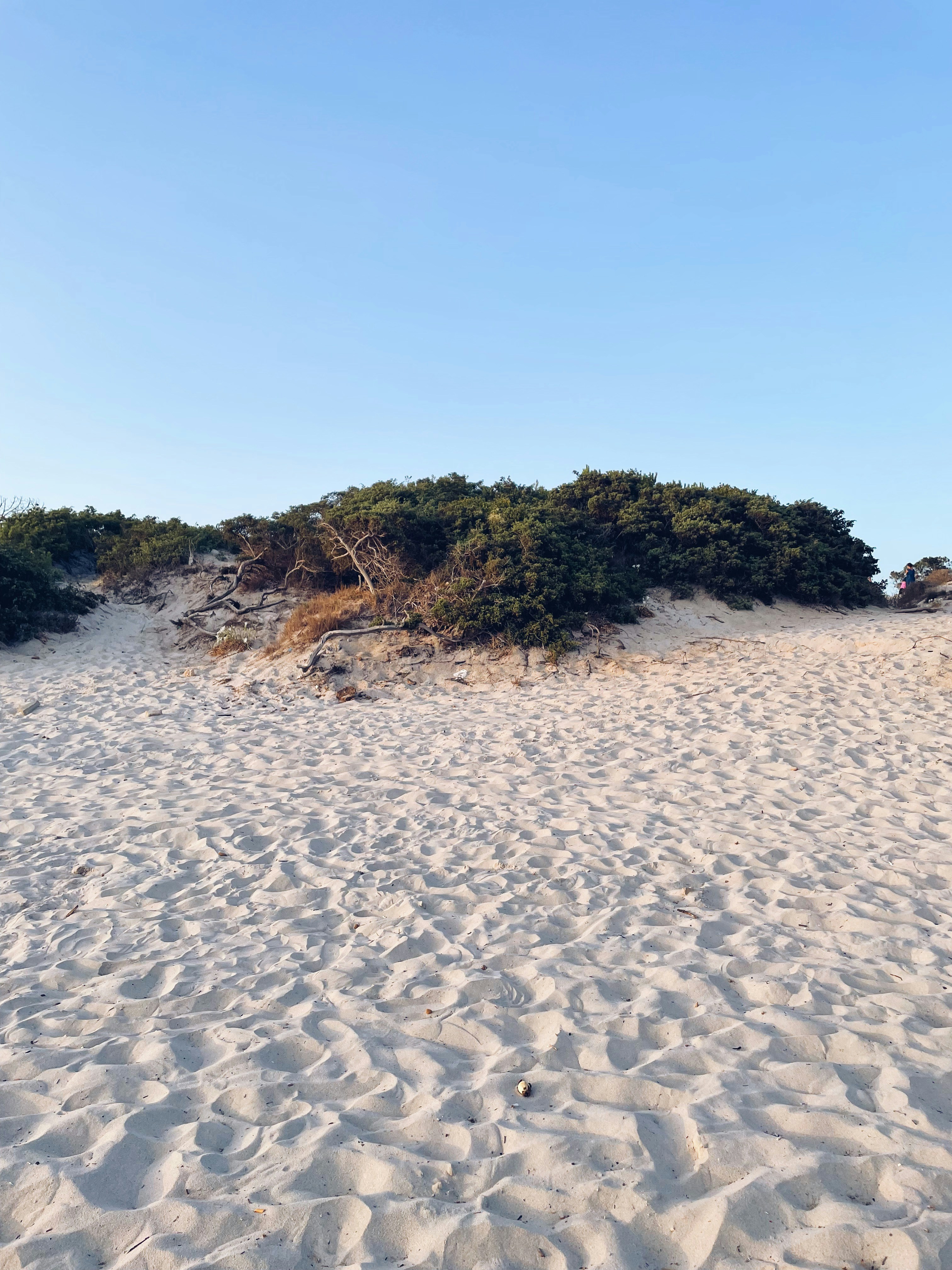 A sandy beach scene with gentle dunes and lush vegetation under a clear sky. The landscape invites serenity and exploration.