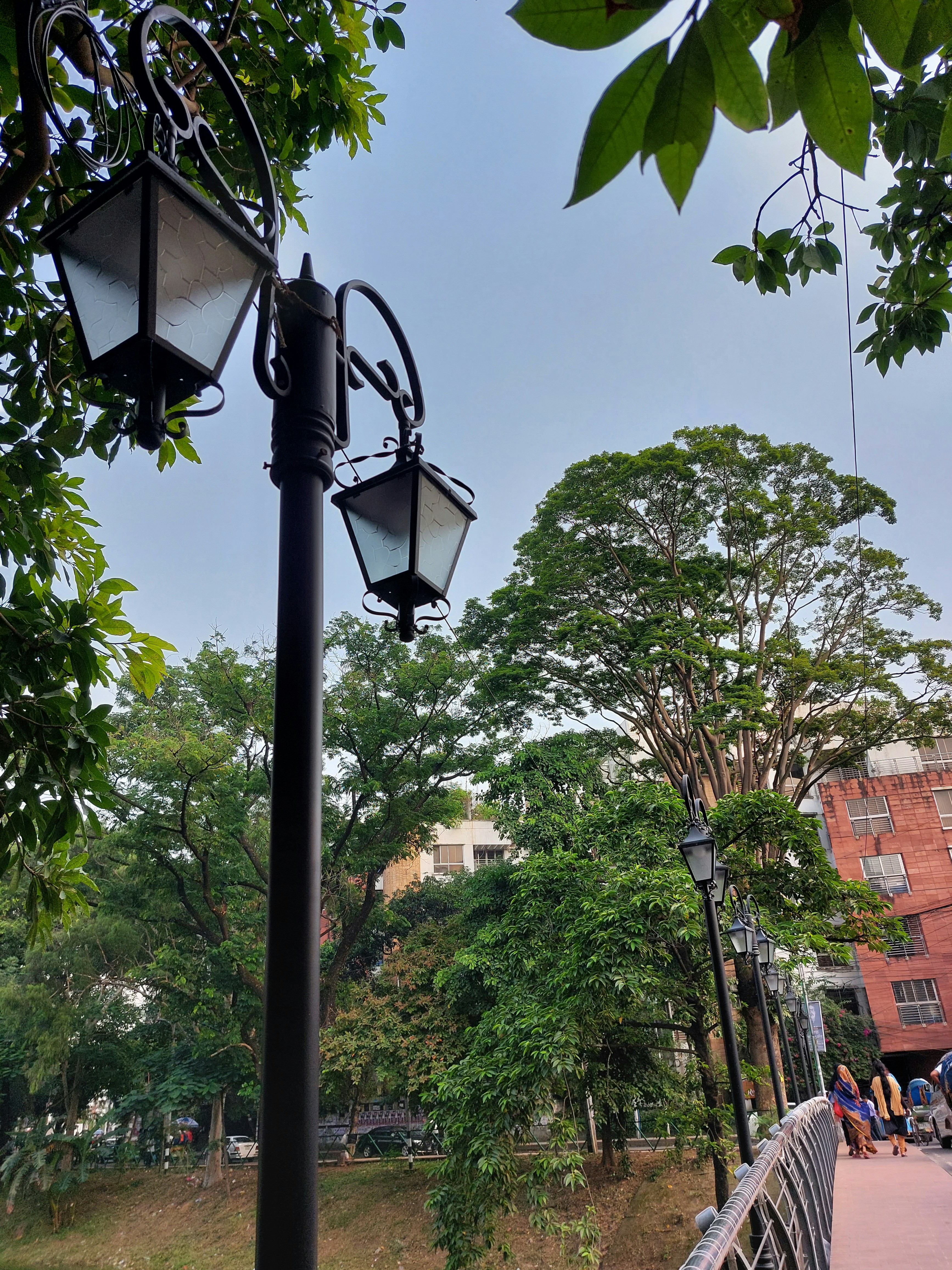 Lanterns and Leaves: A Sunlit Campus Walkway Framed by Ironwork