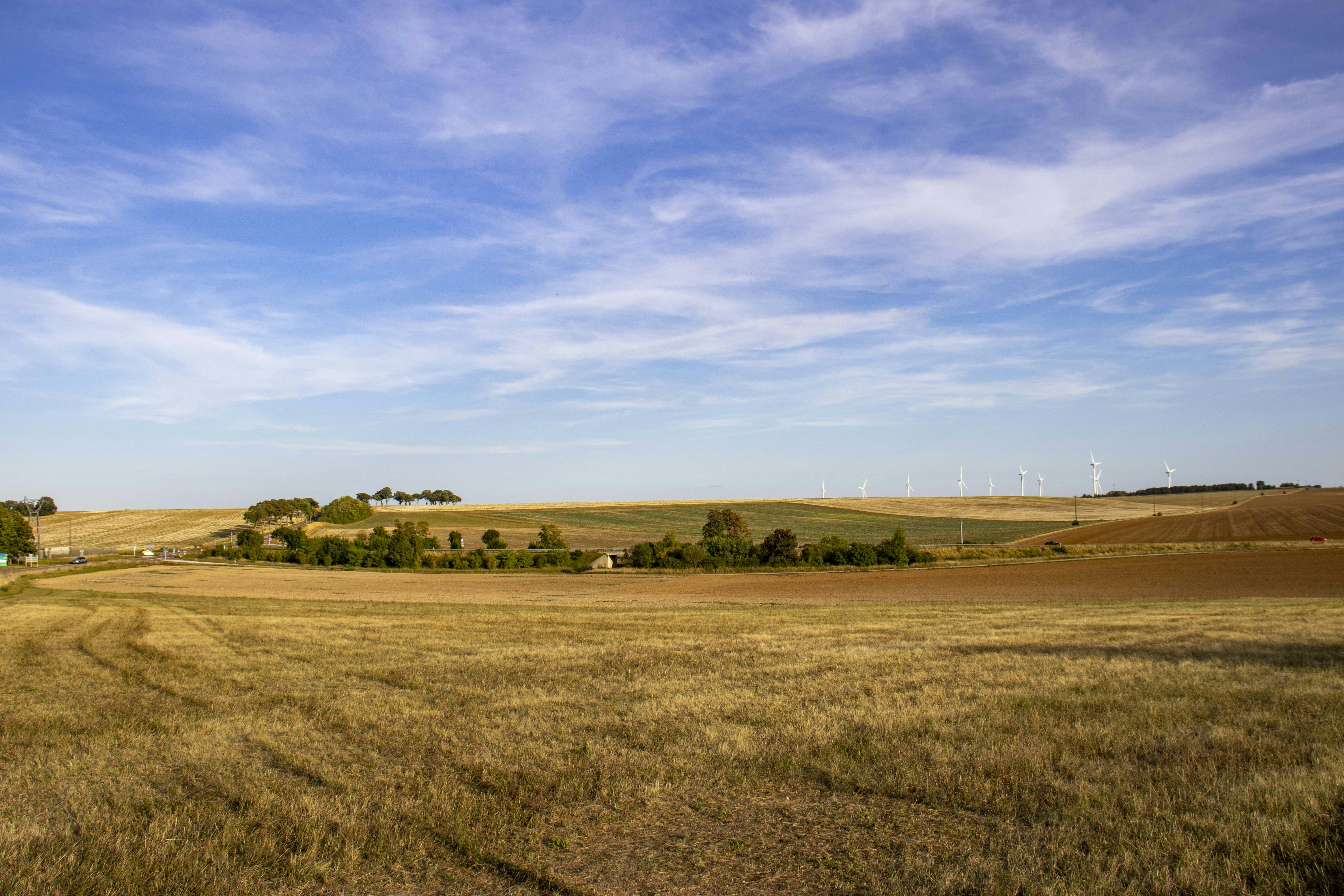 A large open field with trees in the distance photo – Free Nogent-sur ...